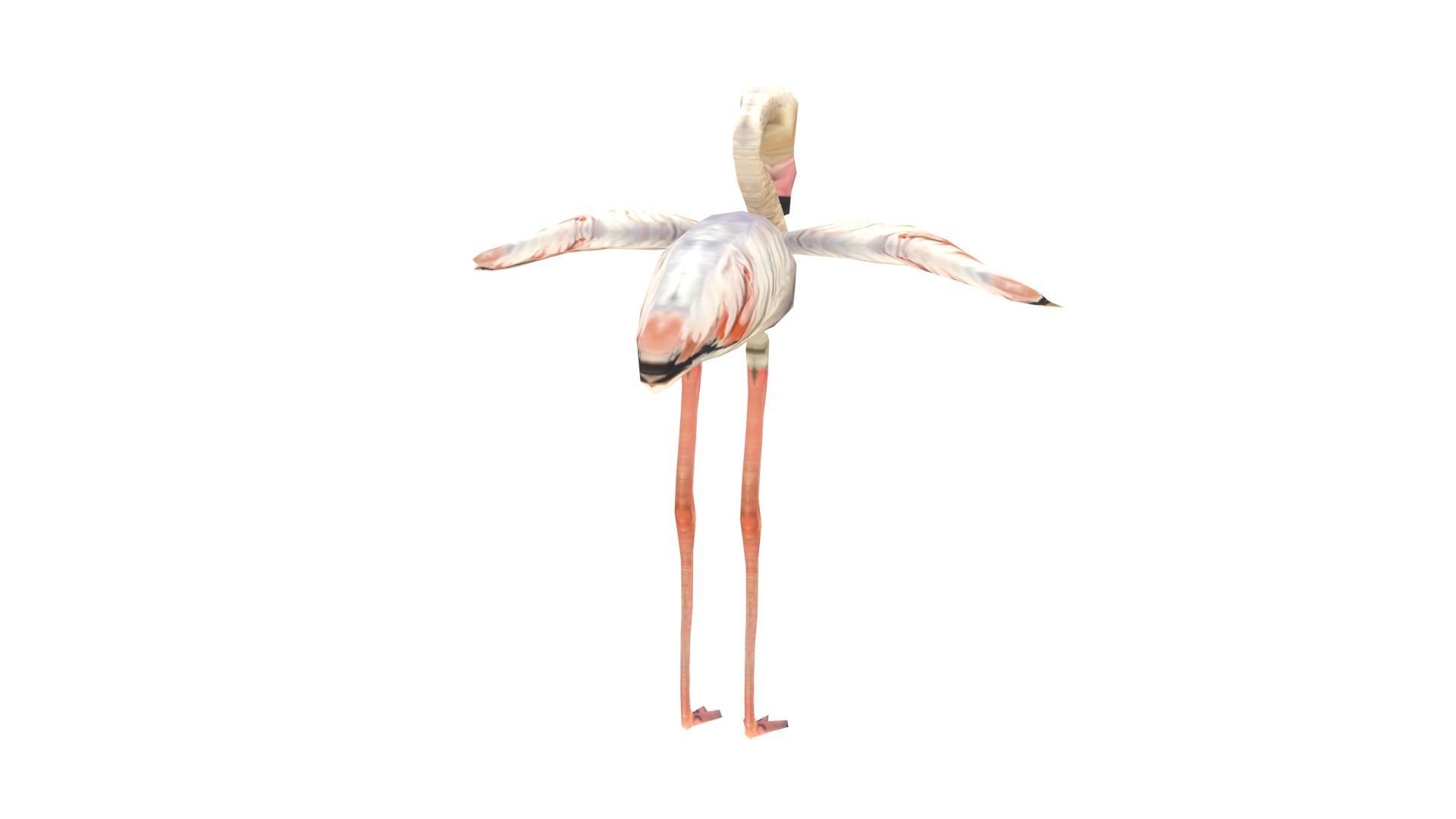 3D model Low Poly Flamingo Rigged With Realistic Texture VR / AR / low ...