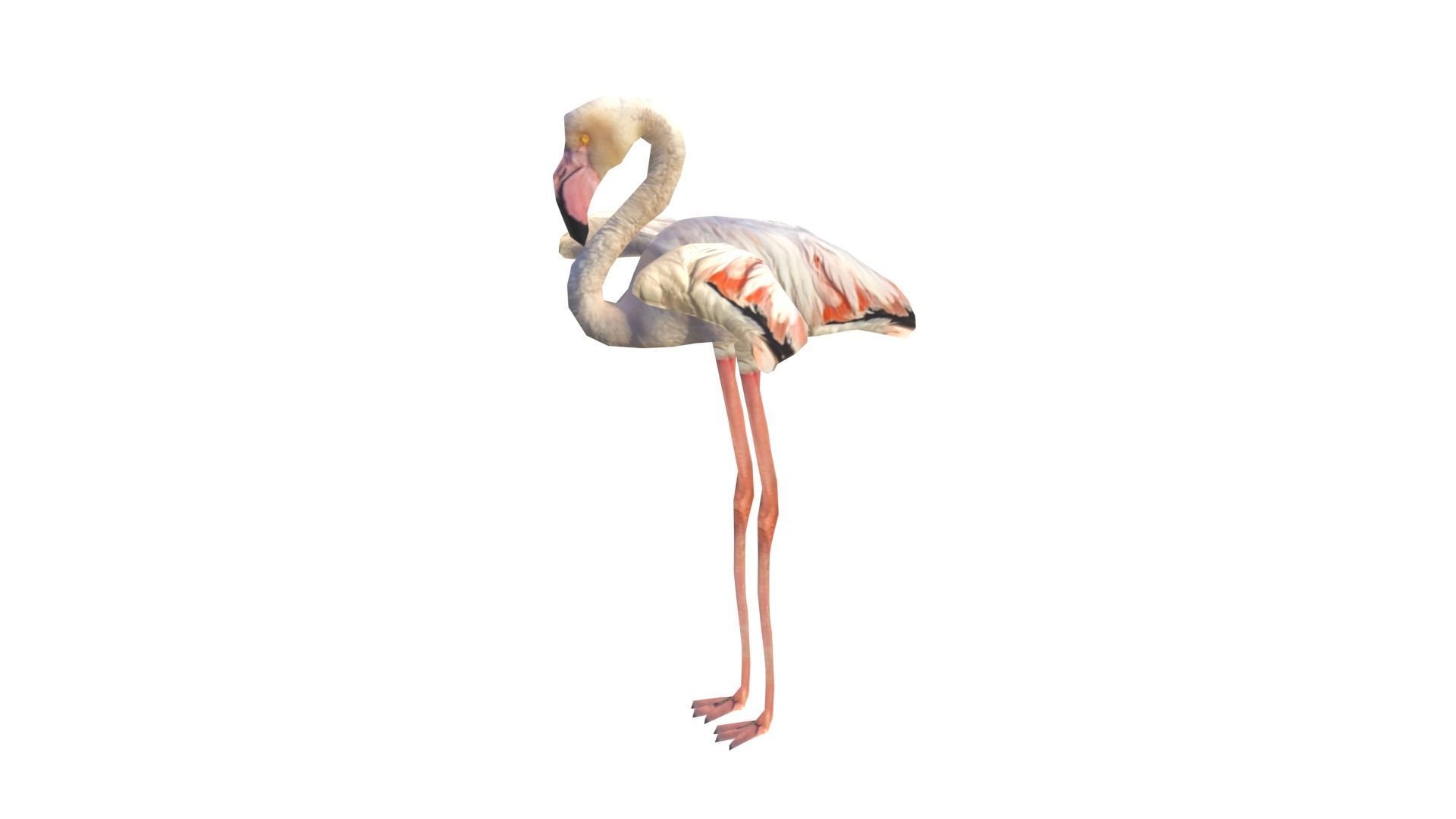 3D model Low Poly Flamingo Rigged With Realistic Texture VR / AR / low ...