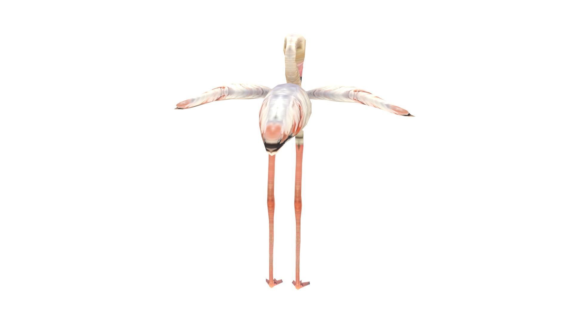 3D model Low Poly Flamingo Rigged With Realistic Texture VR / AR / low ...