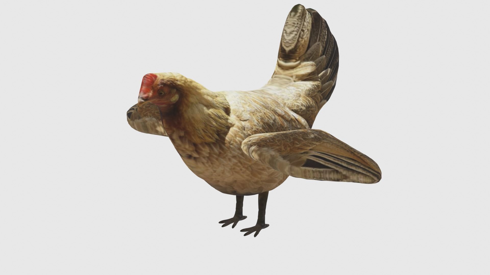 Low Poly Chicken Rigged With Realistic Texture 3D model rigged | CGTrader