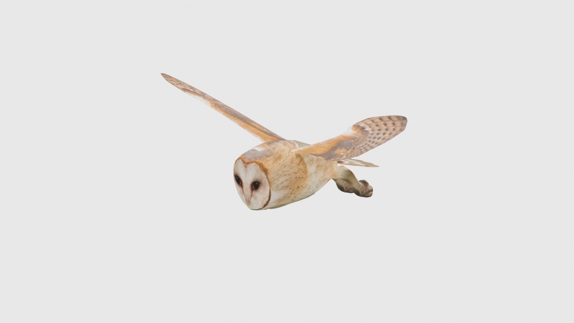 3D model Low Poly Owl Rigged With Realistic Texture VR / AR / low-poly ...