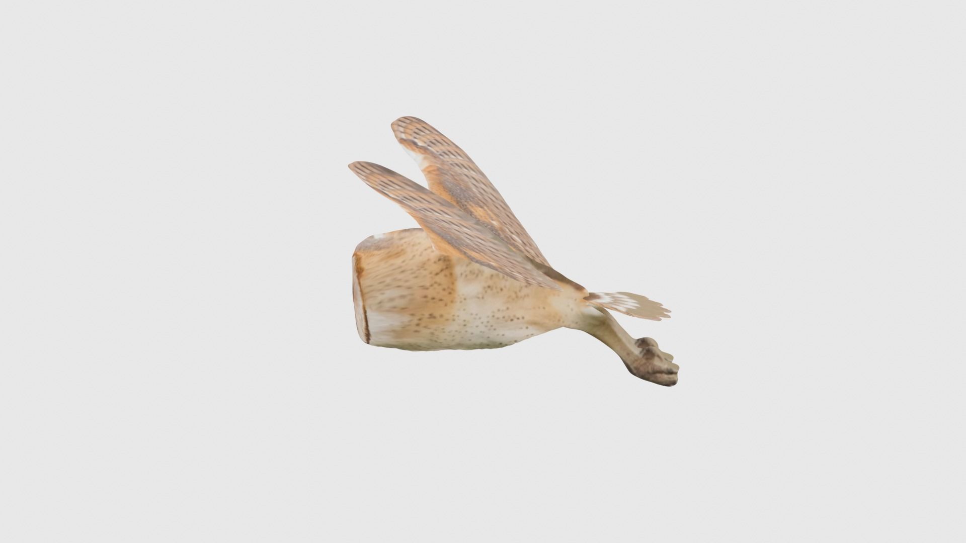 3D model Low Poly Owl Rigged With Realistic Texture VR / AR / low-poly ...