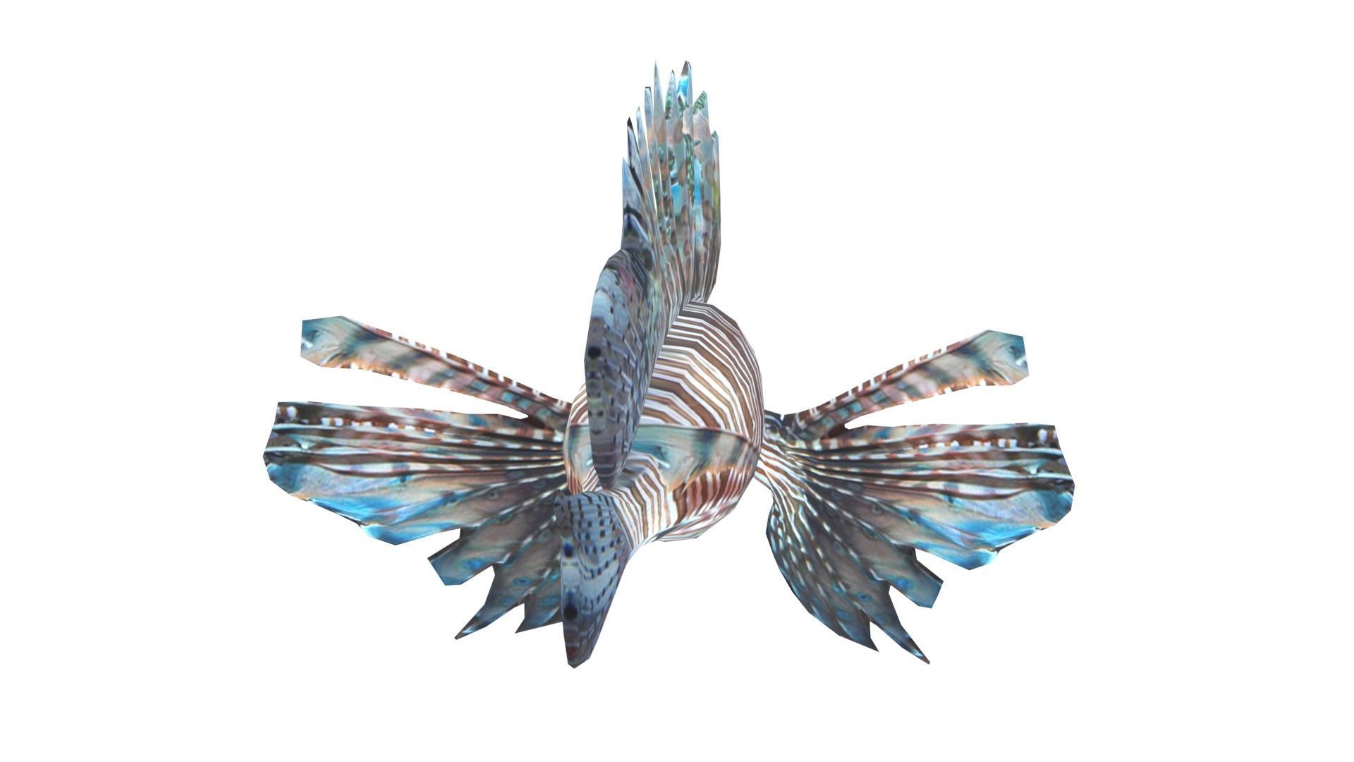 3D model Low Poly Lionfish Rigged With Realistic Texture VR / AR / low ...
