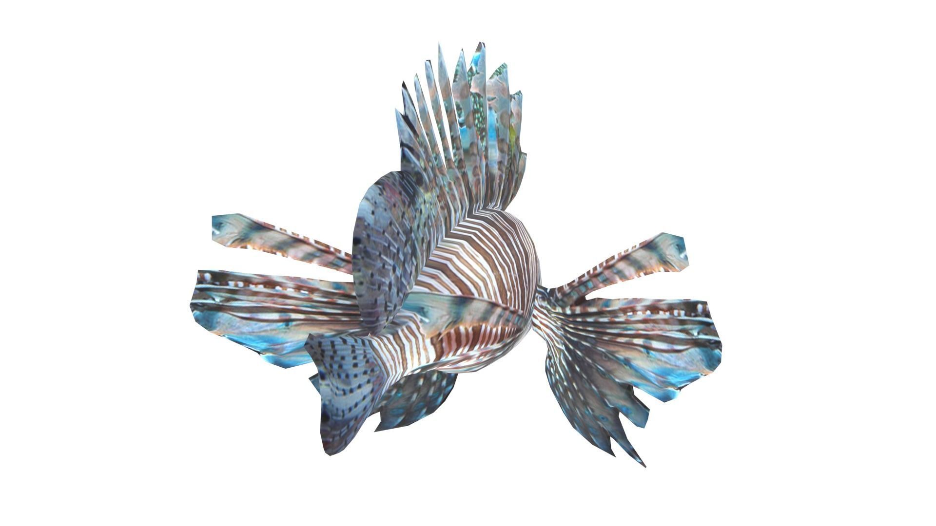 3D model Low Poly Lionfish Rigged With Realistic Texture VR / AR / low ...
