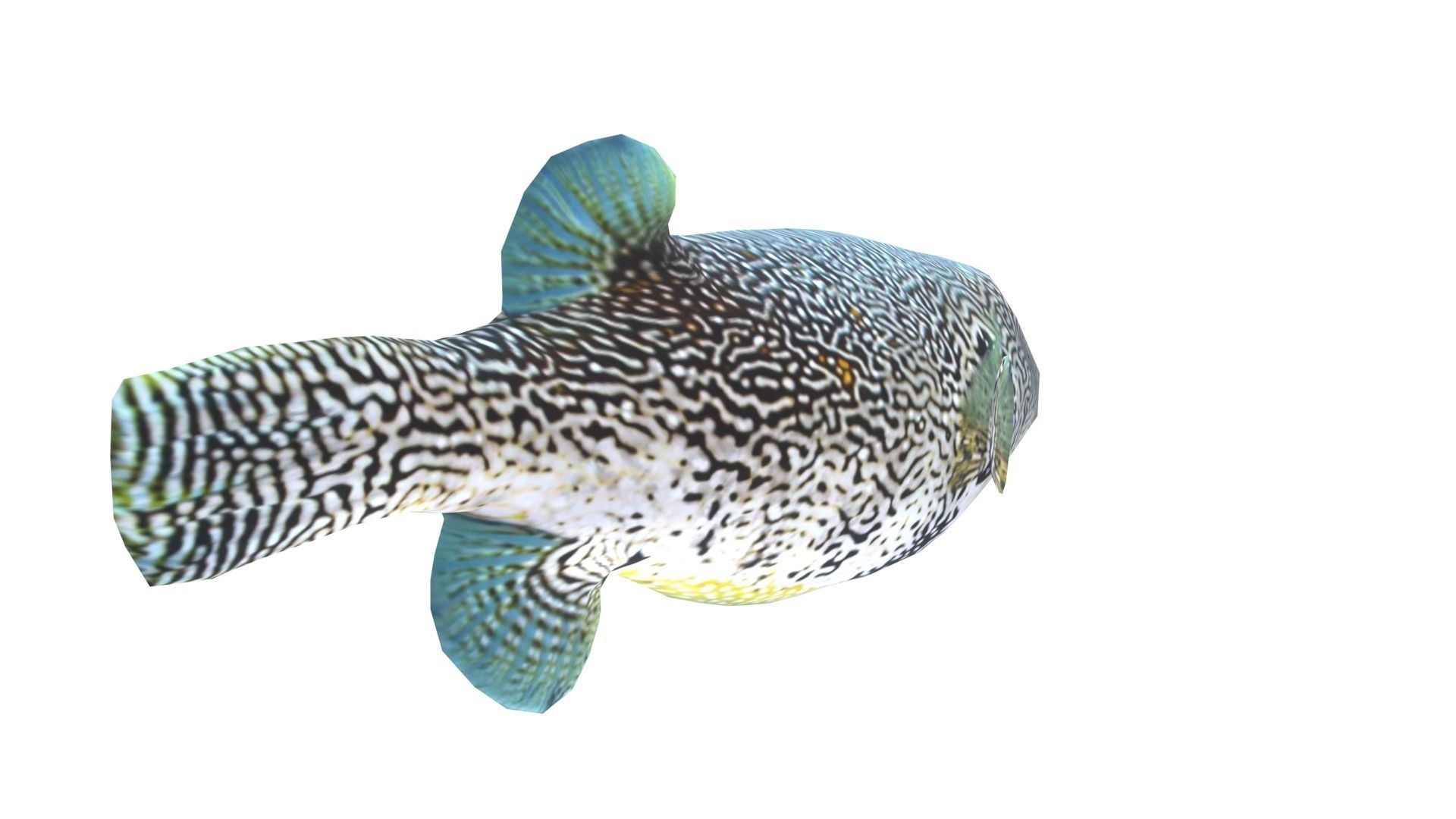 3D model Low Poly Pufferfish Rigged With Realistic Texture VR / AR ...
