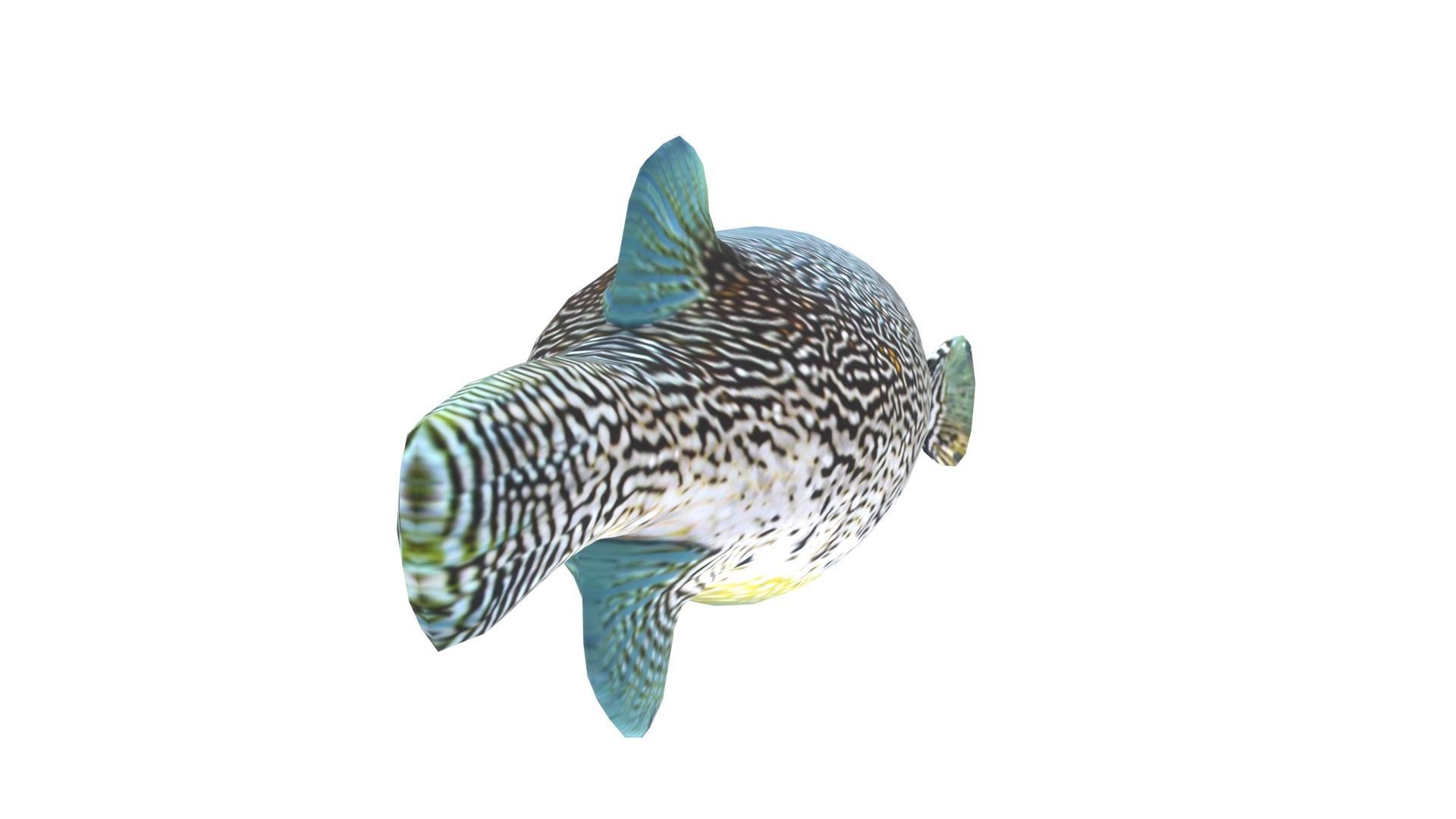 3D model Low Poly Pufferfish Rigged With Realistic Texture VR / AR ...