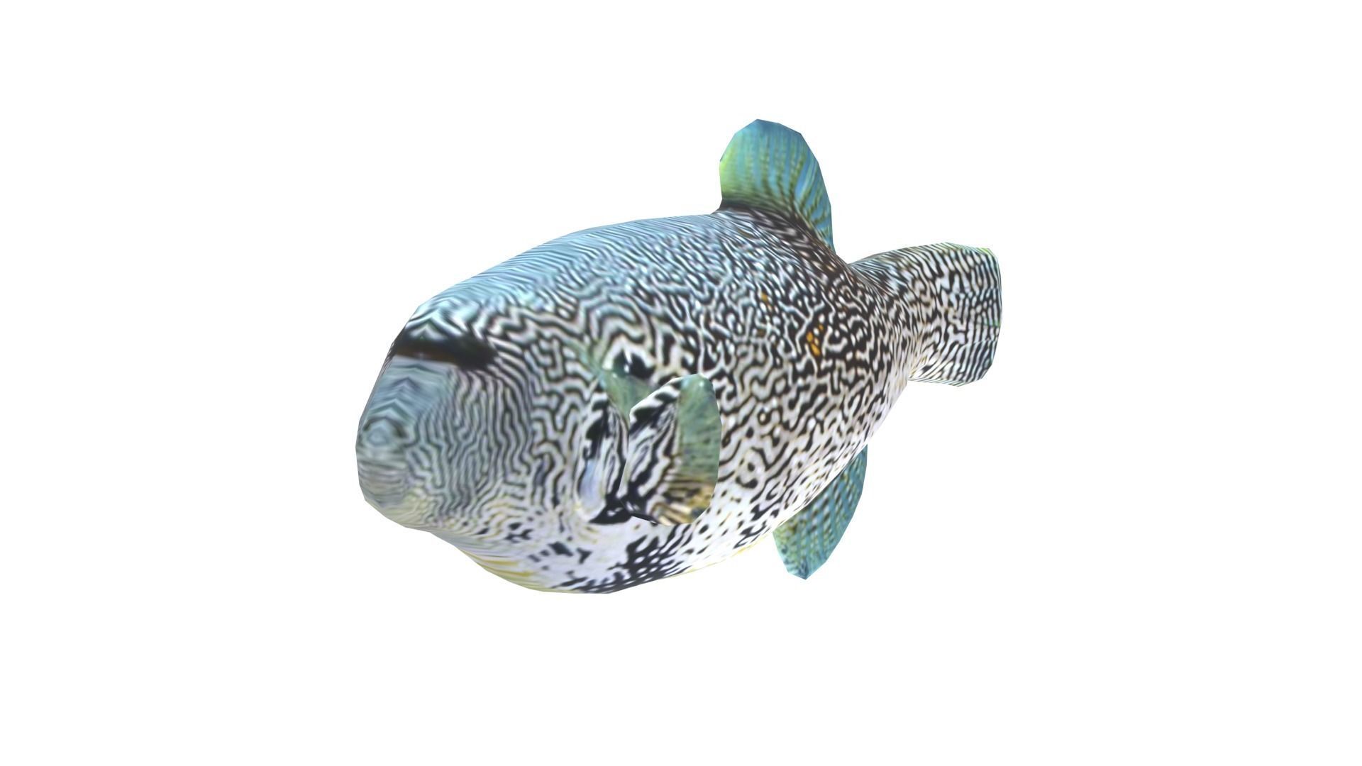 3D model Low Poly Pufferfish Rigged With Realistic Texture VR / AR ...