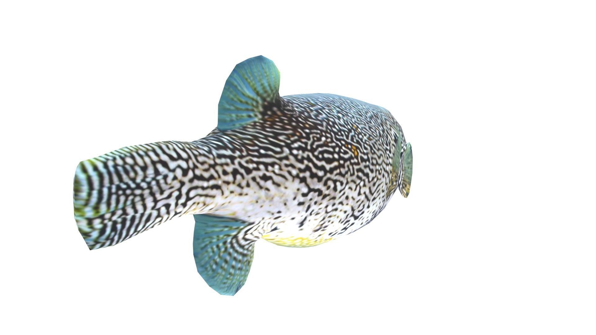 3D model Low Poly Pufferfish Rigged With Realistic Texture VR / AR ...