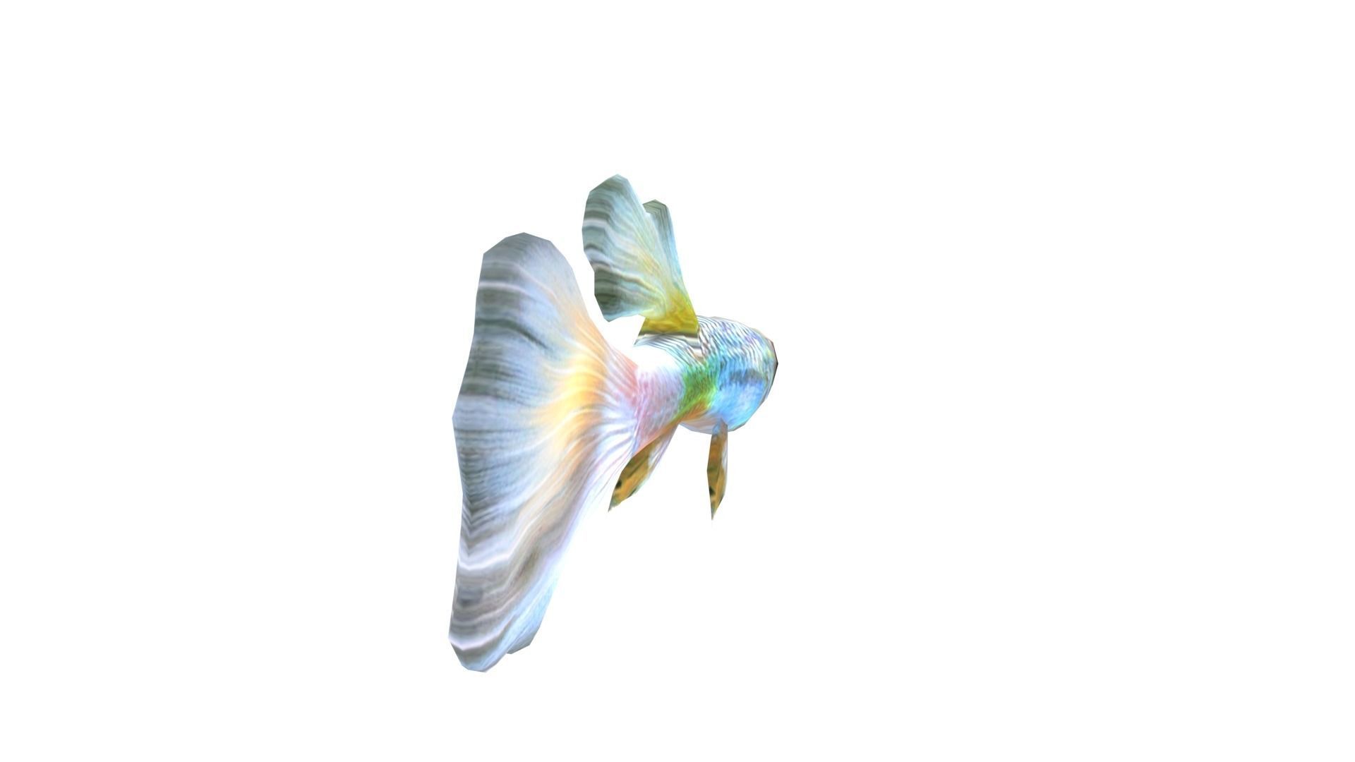 Low Poly Guppy Rigged With Realistic Texture 3D model rigged | CGTrader