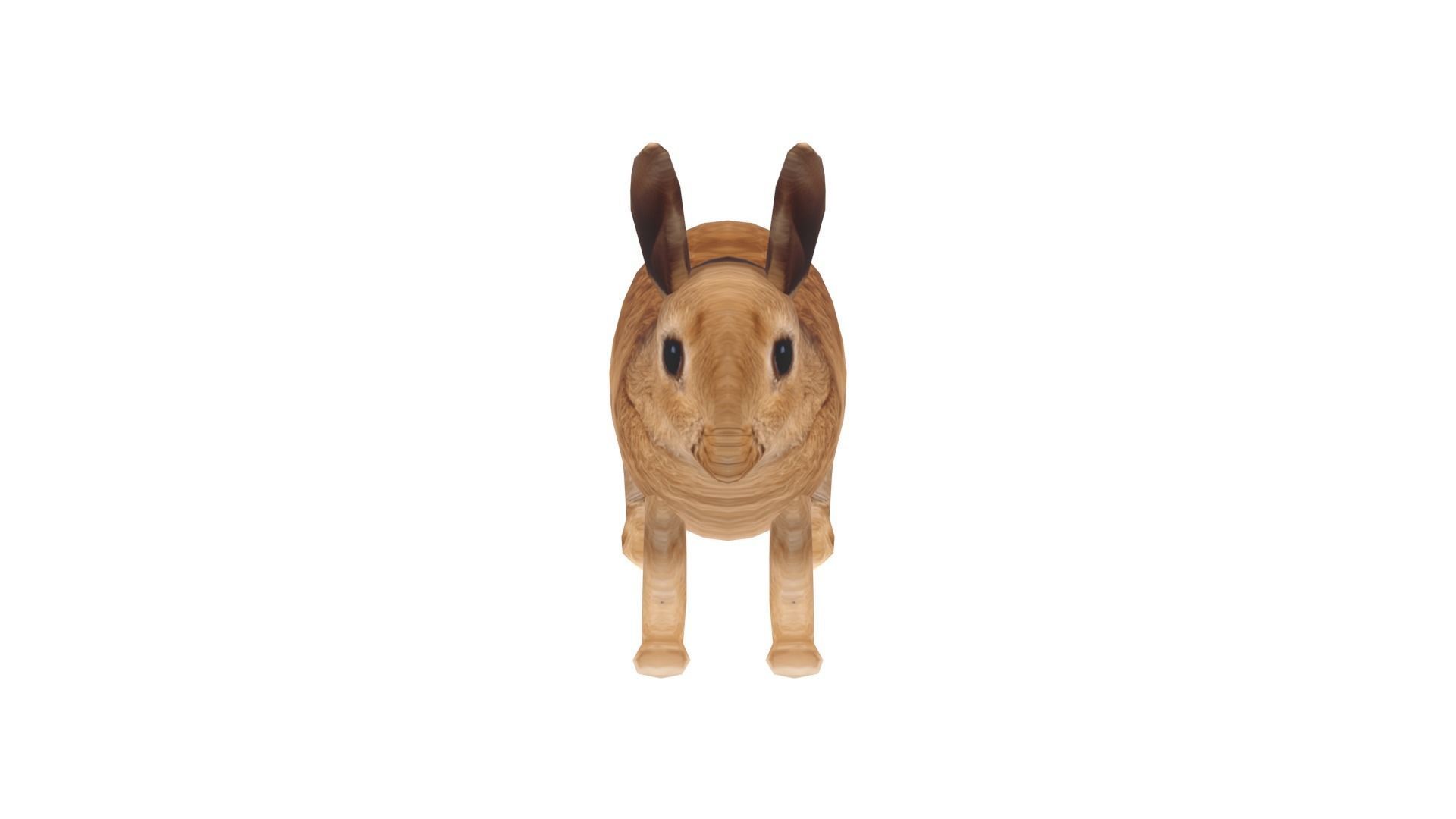 Low Poly Rabbit Rigged With Realistic Texture 3D model rigged | CGTrader