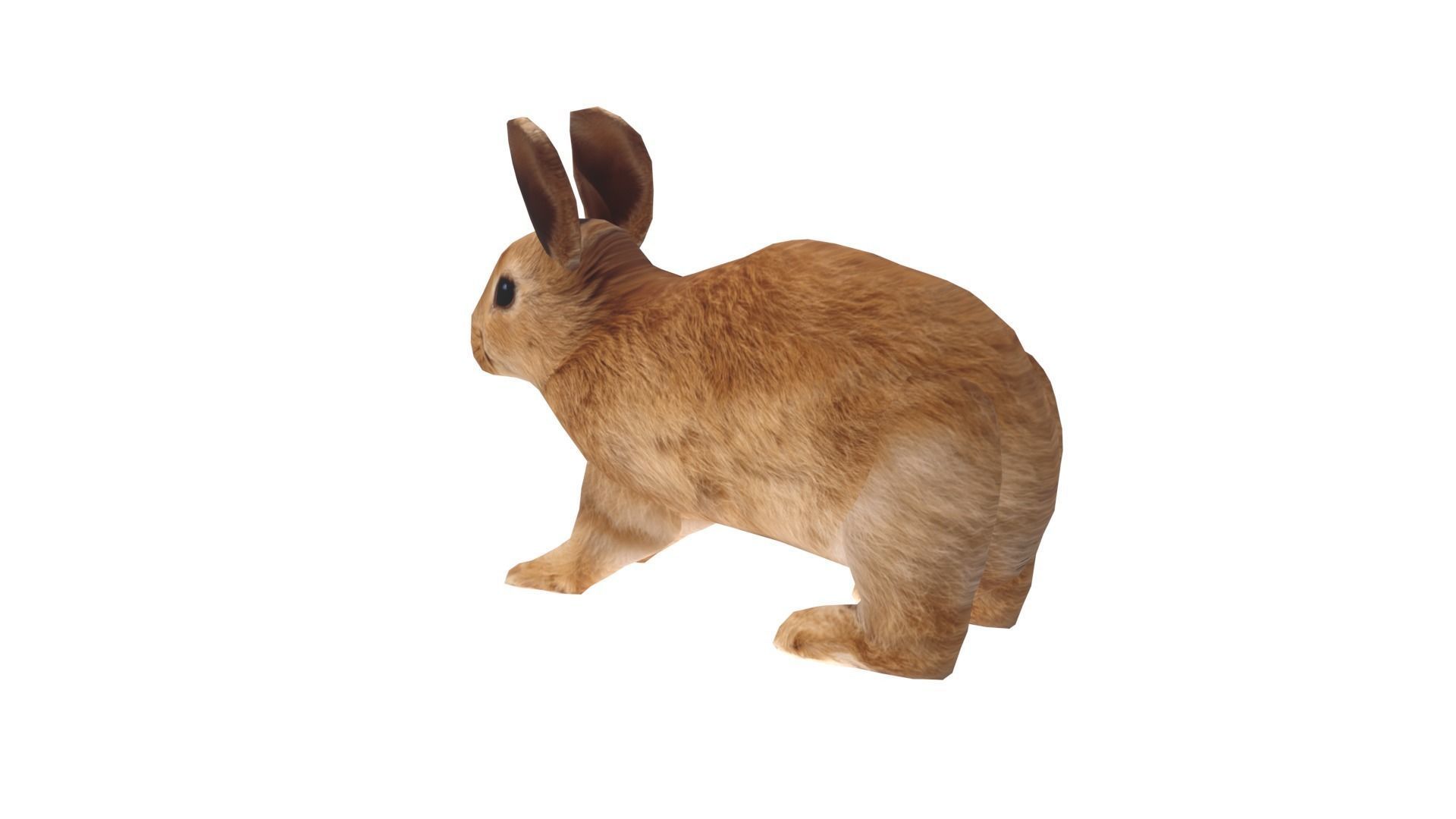 Low Poly Rabbit Rigged With Realistic Texture 3D model rigged | CGTrader