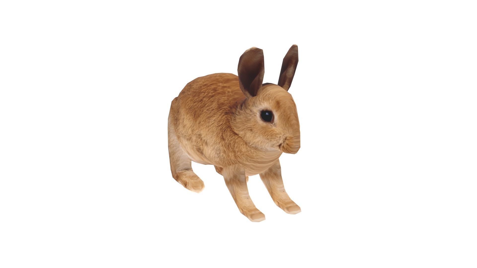 Low Poly Rabbit Rigged With Realistic Texture 3D model rigged | CGTrader