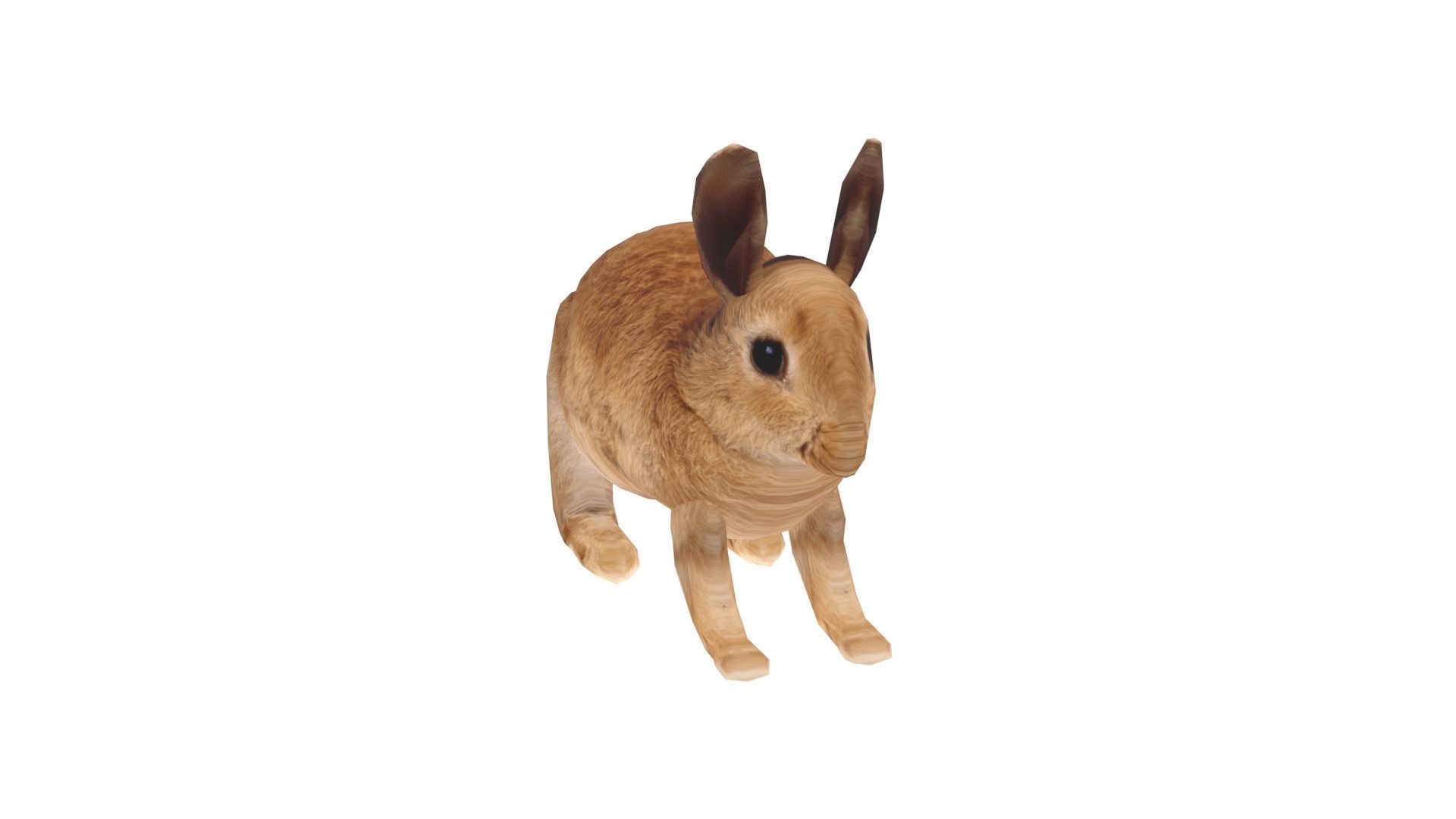 Low Poly Rabbit Rigged With Realistic Texture 3D model rigged | CGTrader