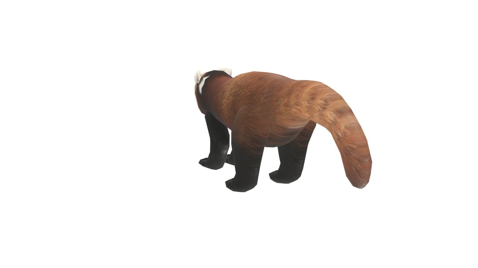Low Poly Red Panda Rigged With Realistic Texture 3D model rigged | CGTrader