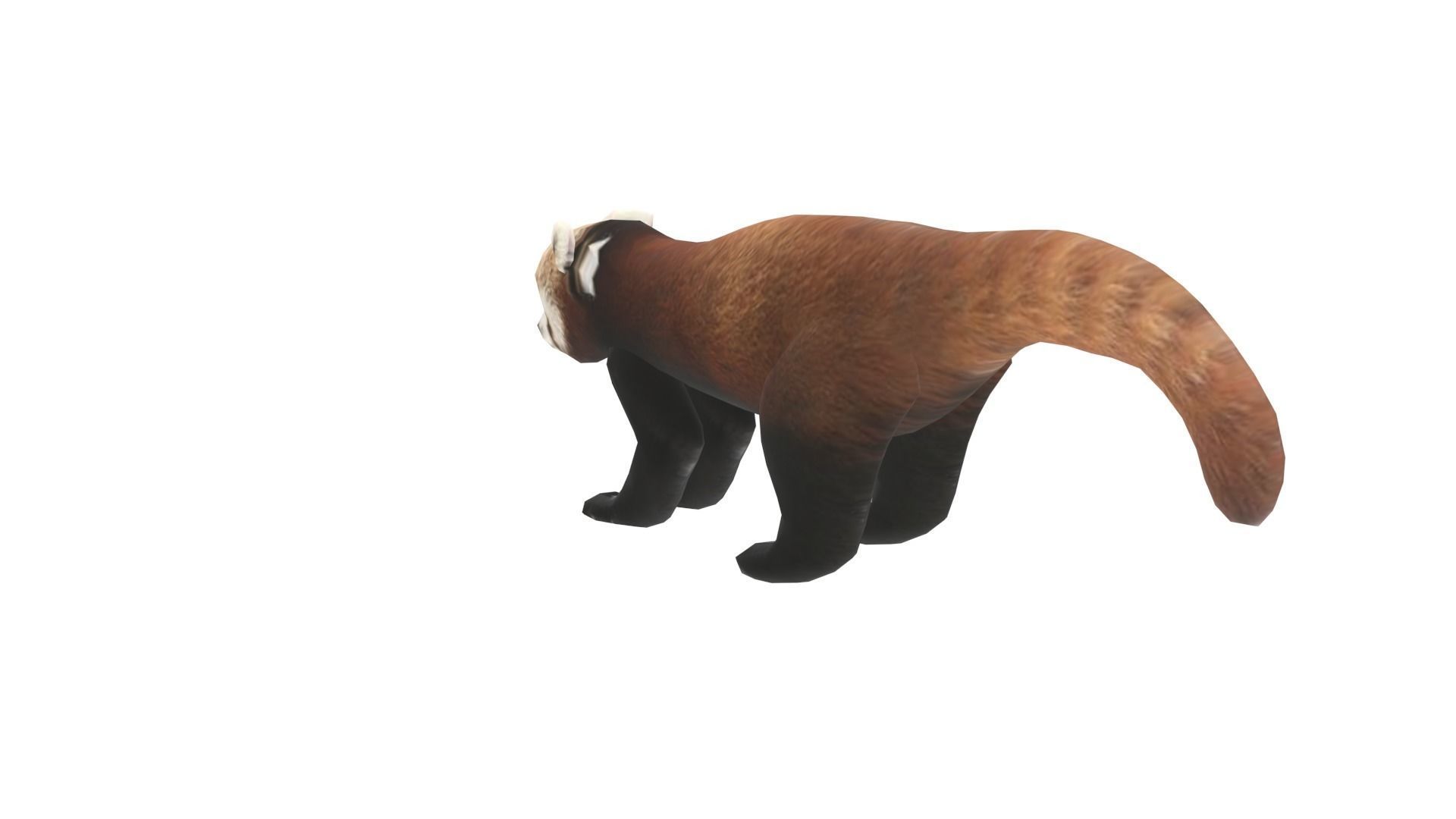 Low Poly Red Panda Rigged With Realistic Texture 3D model rigged | CGTrader
