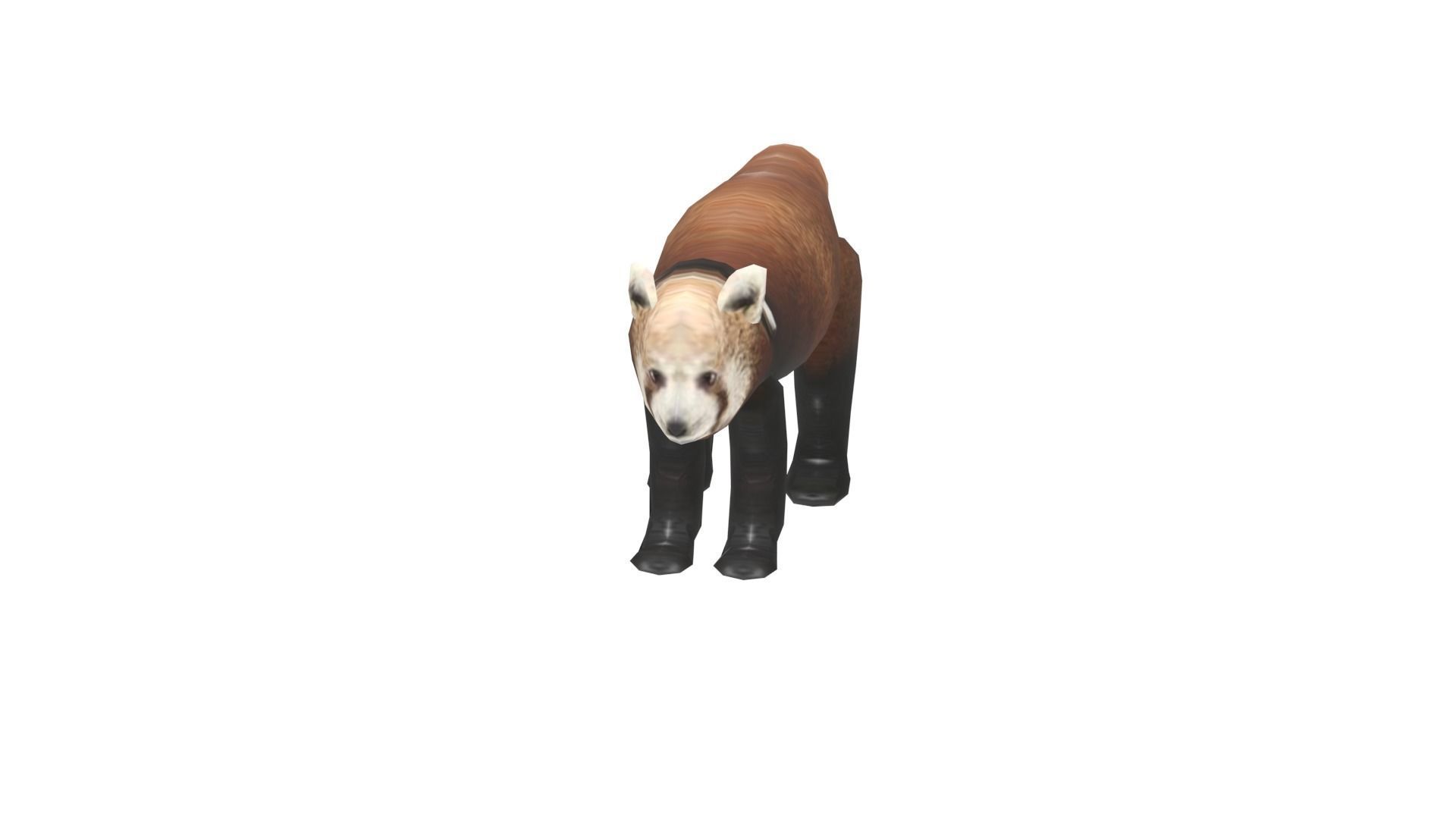 Low Poly Red Panda Rigged With Realistic Texture 3D model rigged | CGTrader