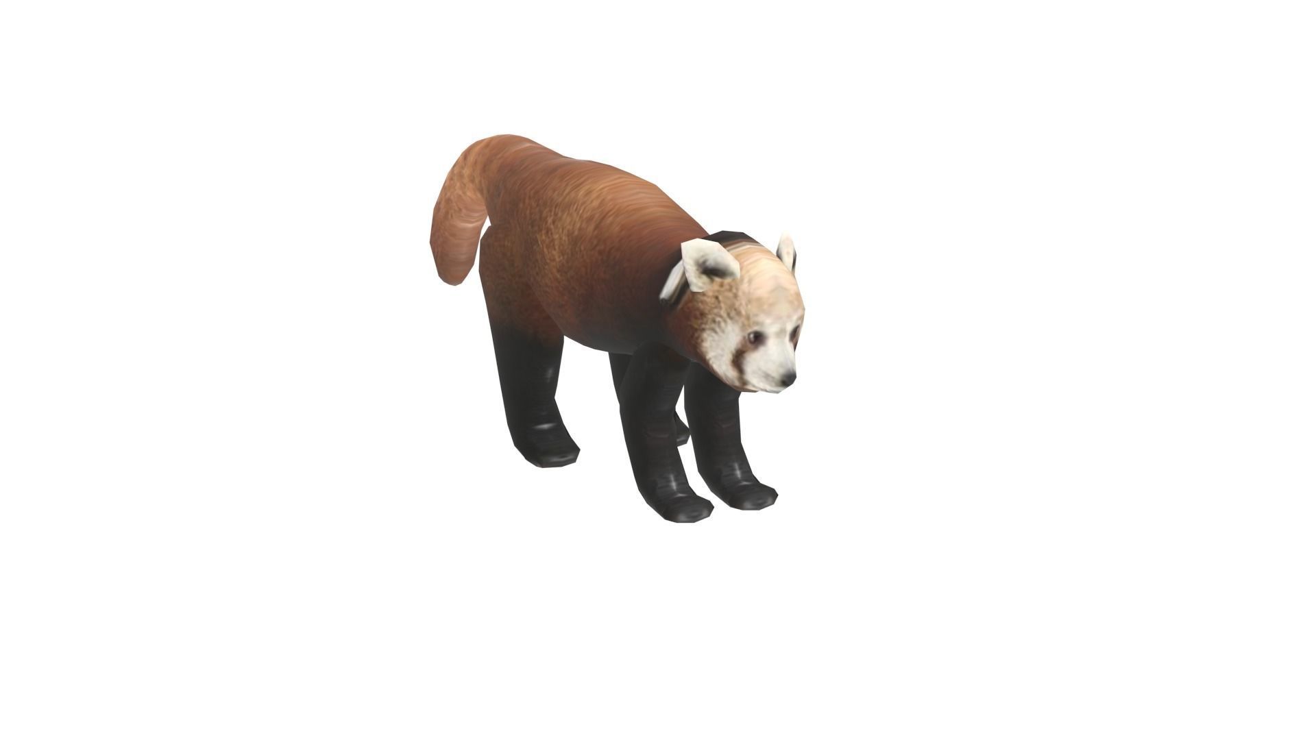 Low Poly Red Panda Rigged With Realistic Texture 3D model rigged | CGTrader