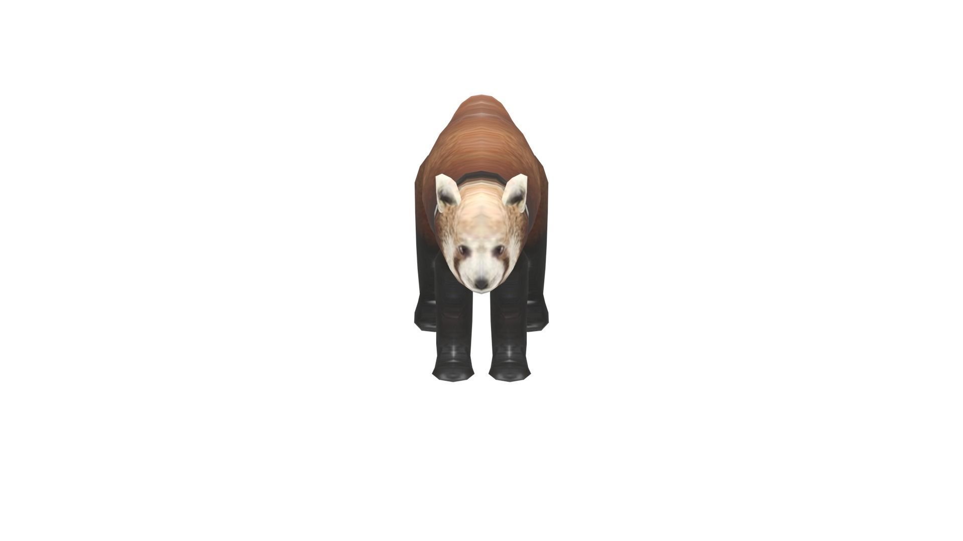 Low Poly Red Panda Rigged With Realistic Texture 3D model rigged | CGTrader