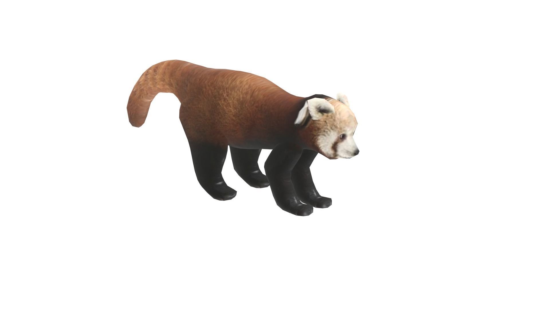 Low Poly Red Panda Rigged With Realistic Texture 3D model rigged | CGTrader