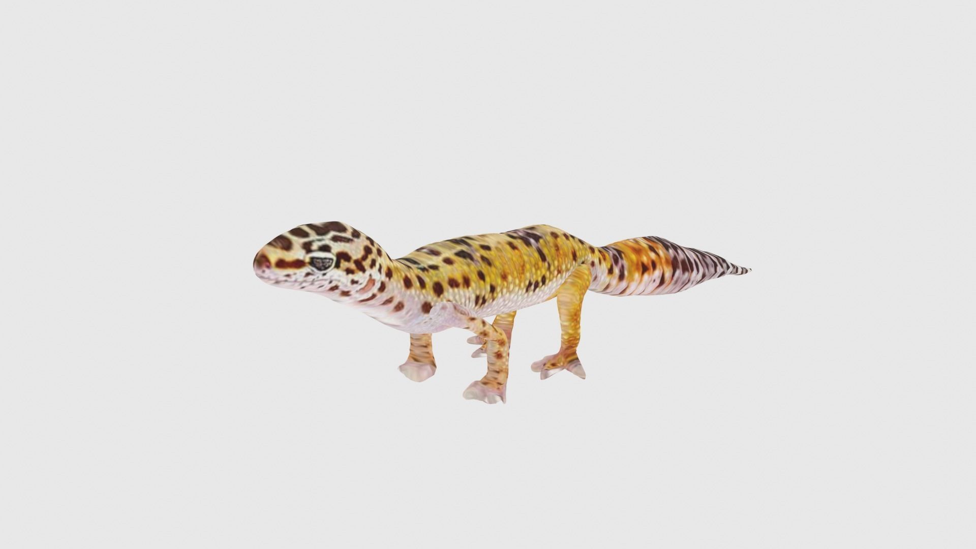 3D model Low Poly Gecko Rigged With Realistic Texture VR / AR / low ...