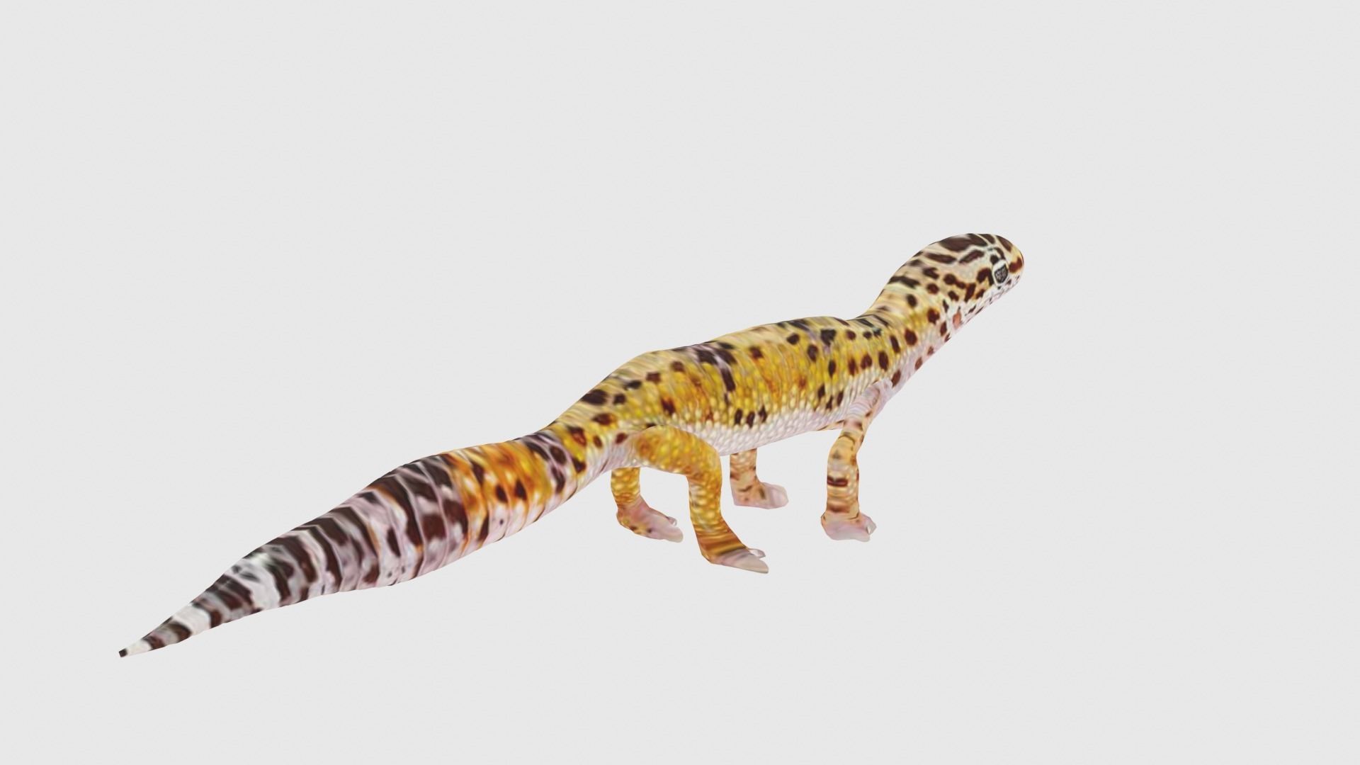 3D model Low Poly Gecko Rigged With Realistic Texture VR / AR / low ...