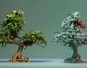 Tree 3D Models | CGTrader
