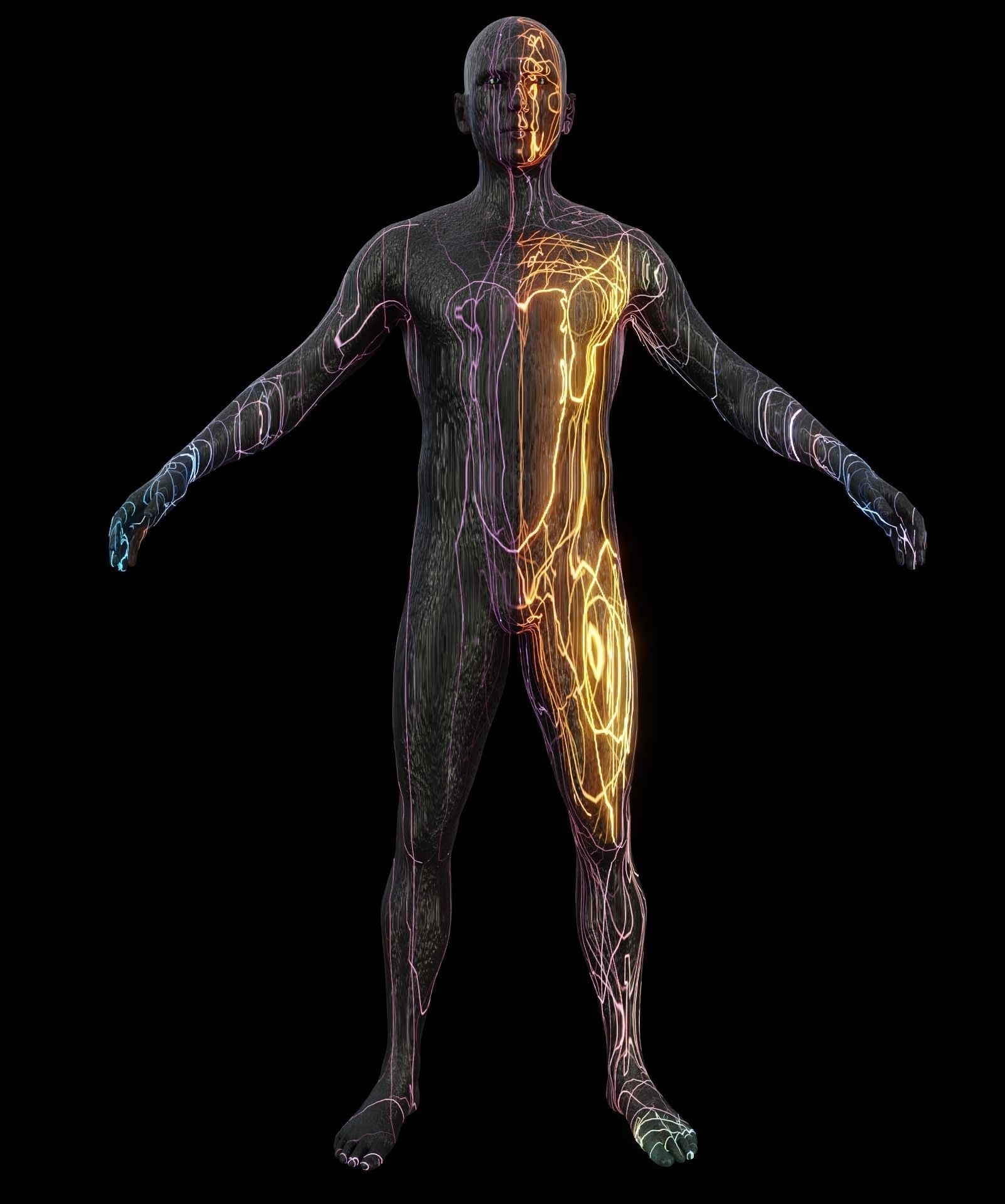 the throne entity 3D model rigged | CGTrader