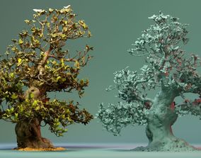 Tree 3D Models | CGTrader