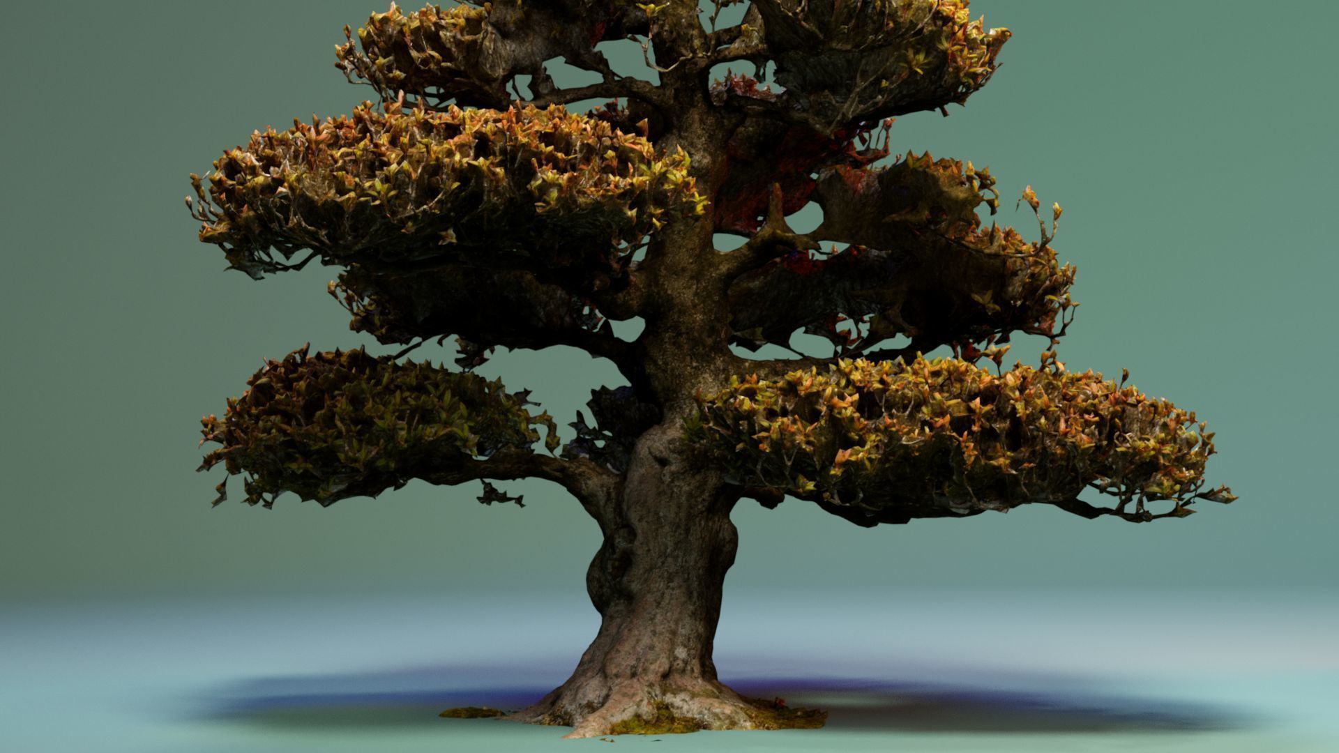 Enchanted Big Tree 5 3D model | CGTrader