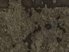 wet brown mud Texture | CGTrader