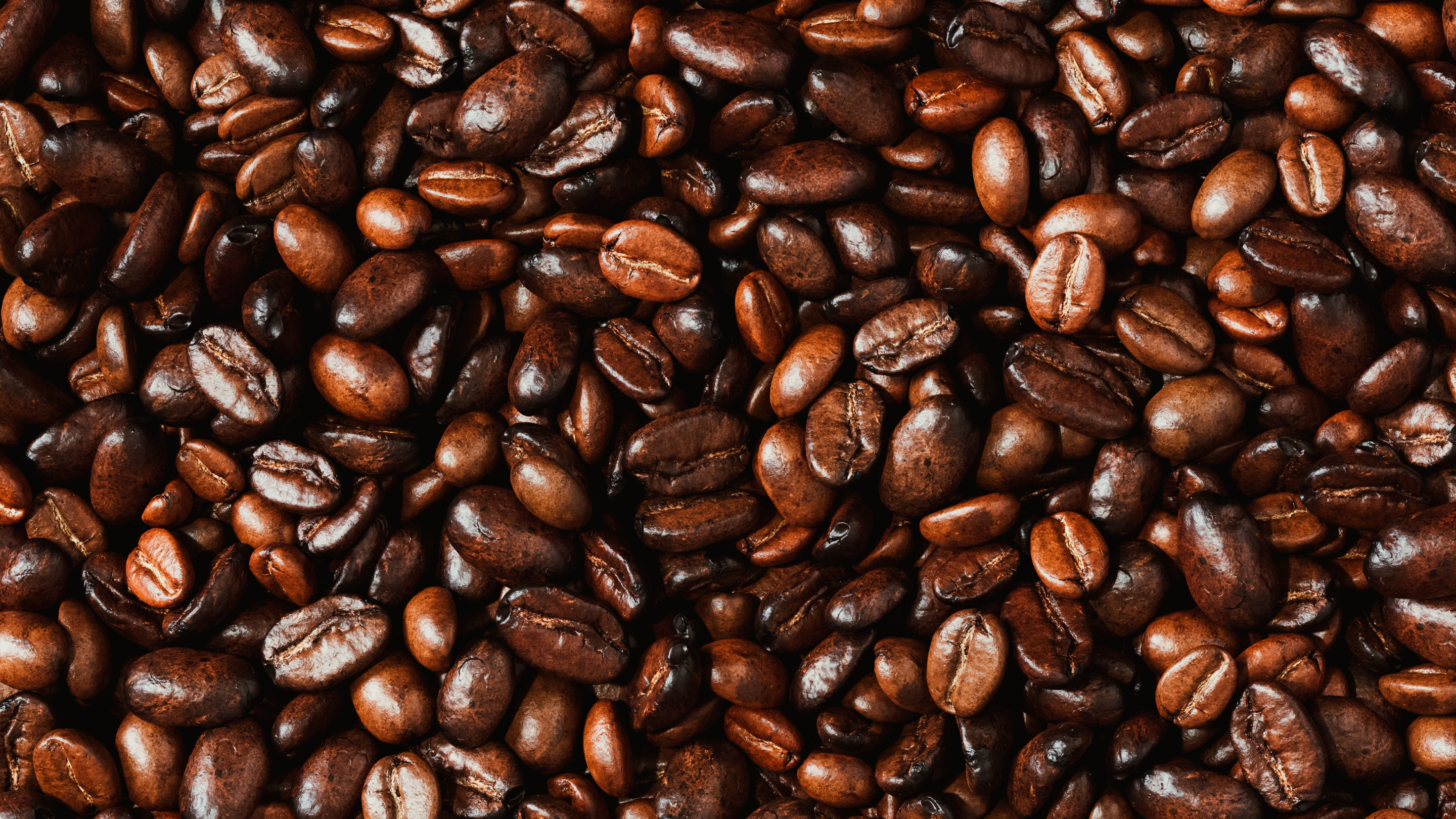 3D model Photoscanned Realistic Coffee Bean VR / AR / low-poly | CGTrader