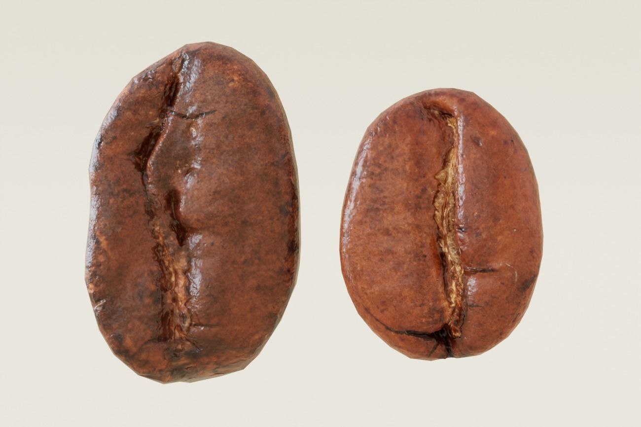 3D model Photoscanned Realistic Coffee Bean VR / AR / low-poly | CGTrader