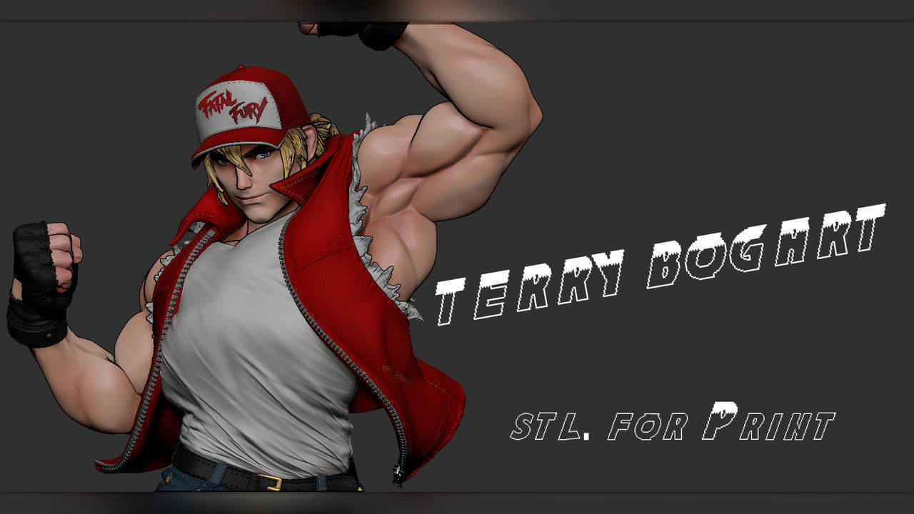 Terry character from street fighter 3D model 3D printable | CGTrader