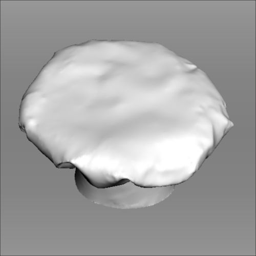 Bakers Hat 3D model | CGTrader