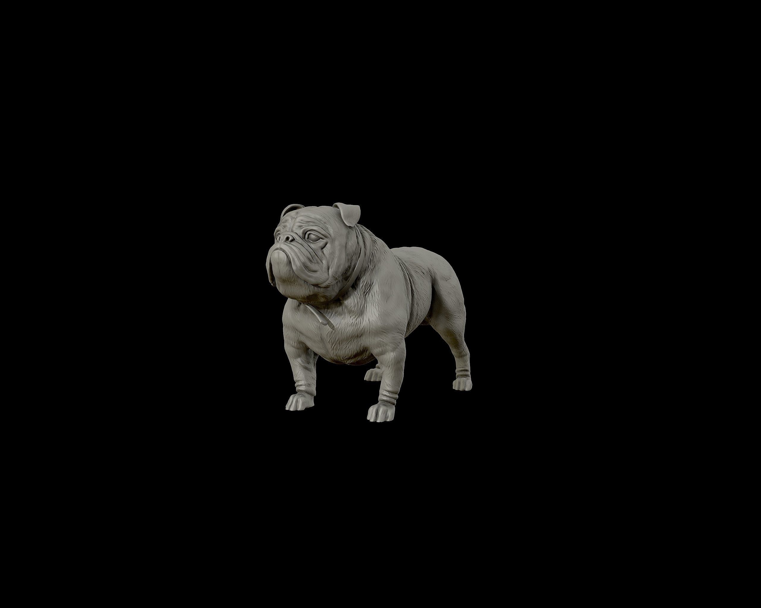 Bulldog model 3D model 3D printable | CGTrader