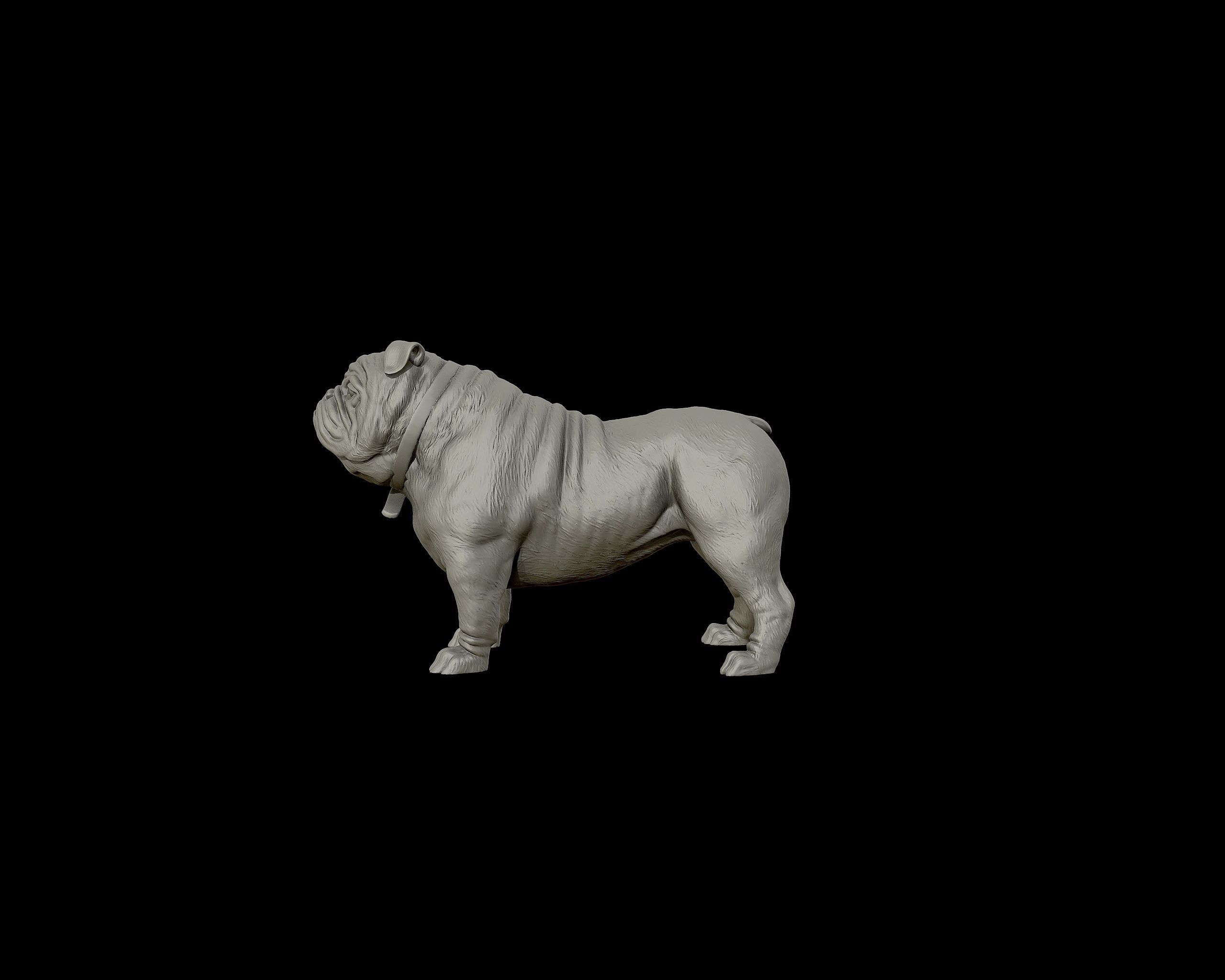 Bulldog model 3D model 3D printable | CGTrader