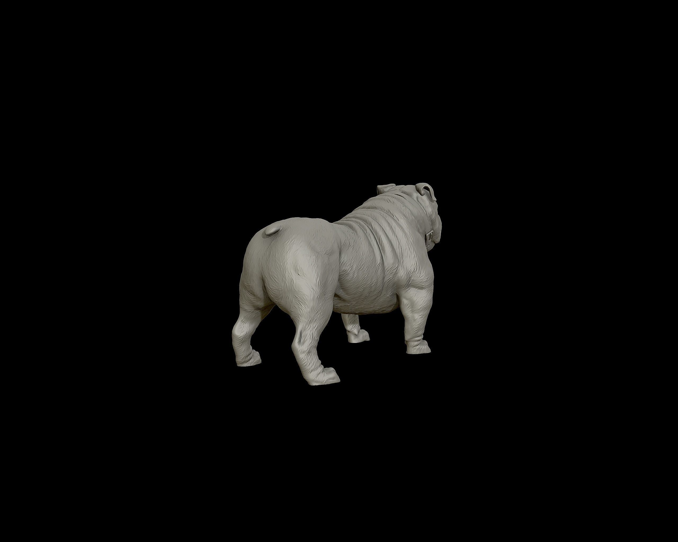 Bulldog model 3D model 3D printable | CGTrader