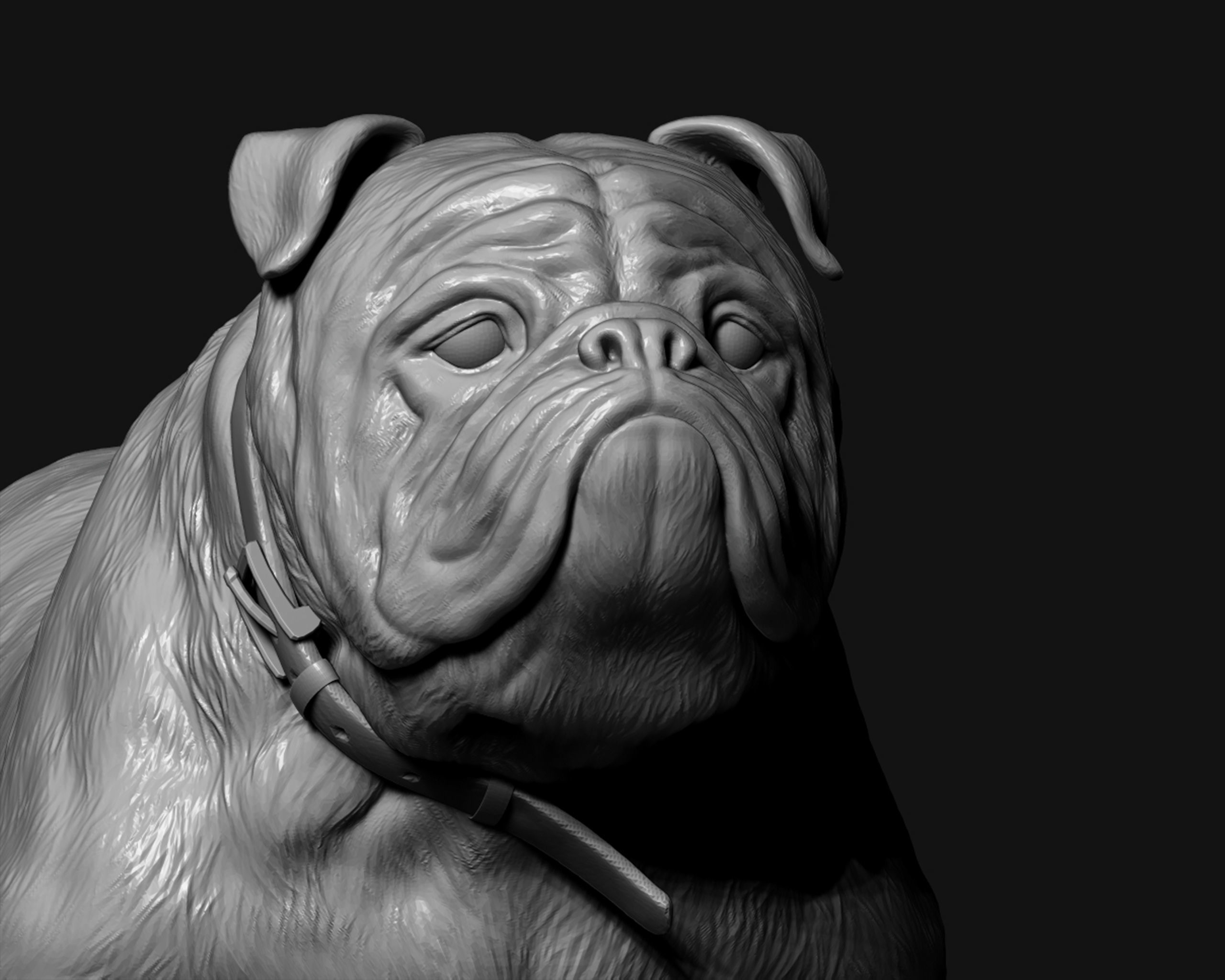 Bulldog model 3D model 3D printable | CGTrader