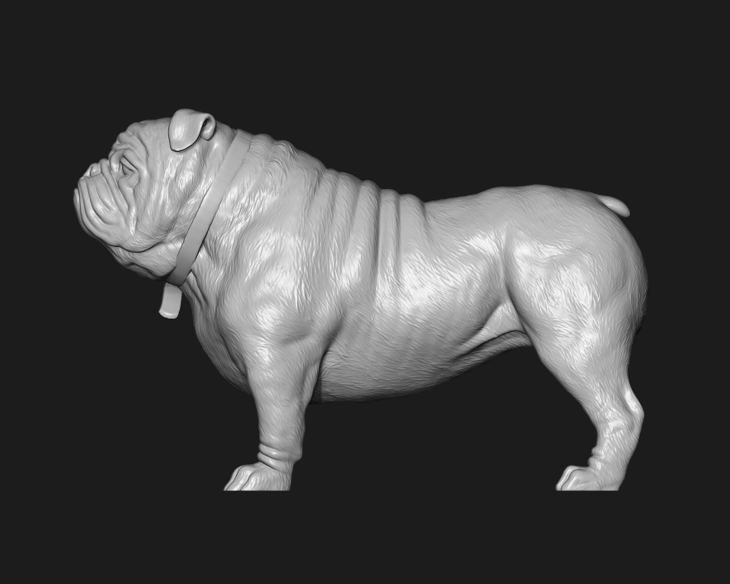 Bulldog model 3D model 3D printable | CGTrader