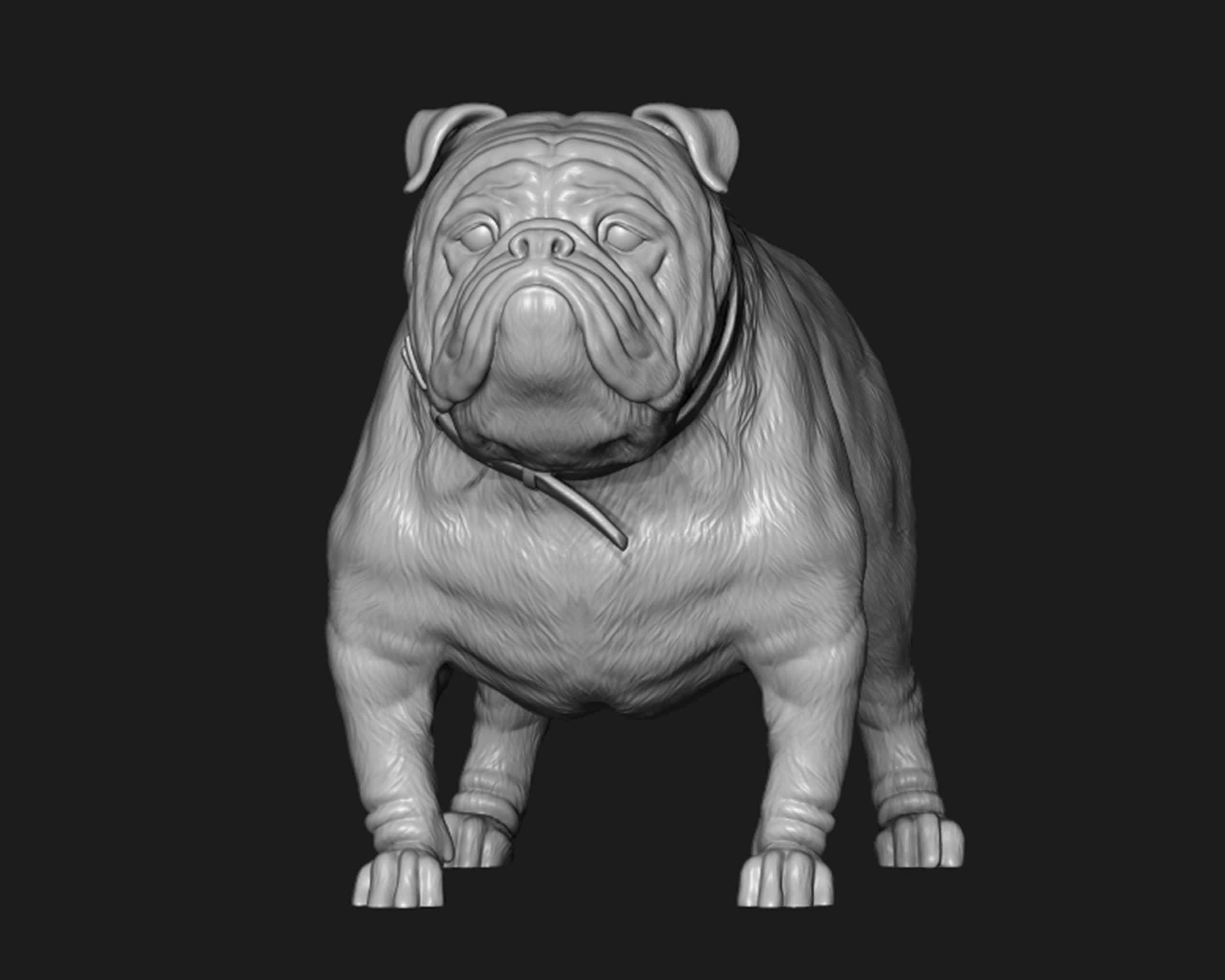 Bulldog model 3D model 3D printable | CGTrader