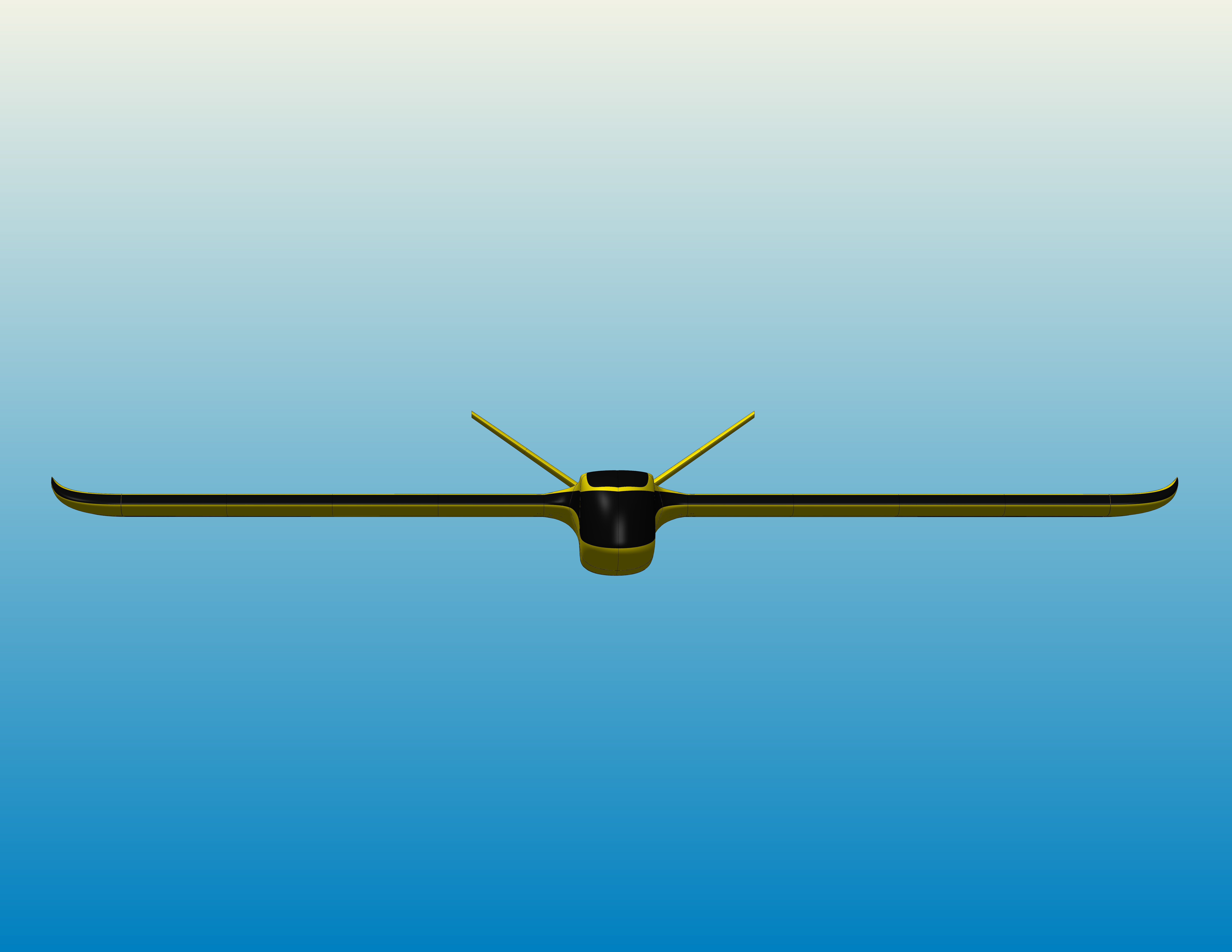 RC PLANE BIG WHALE FPV REMOTE CONTROL 3D model 3D printable | CGTrader