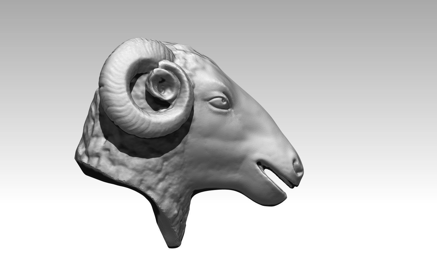 Ram head high detailed 3D model 3D printable | CGTrader