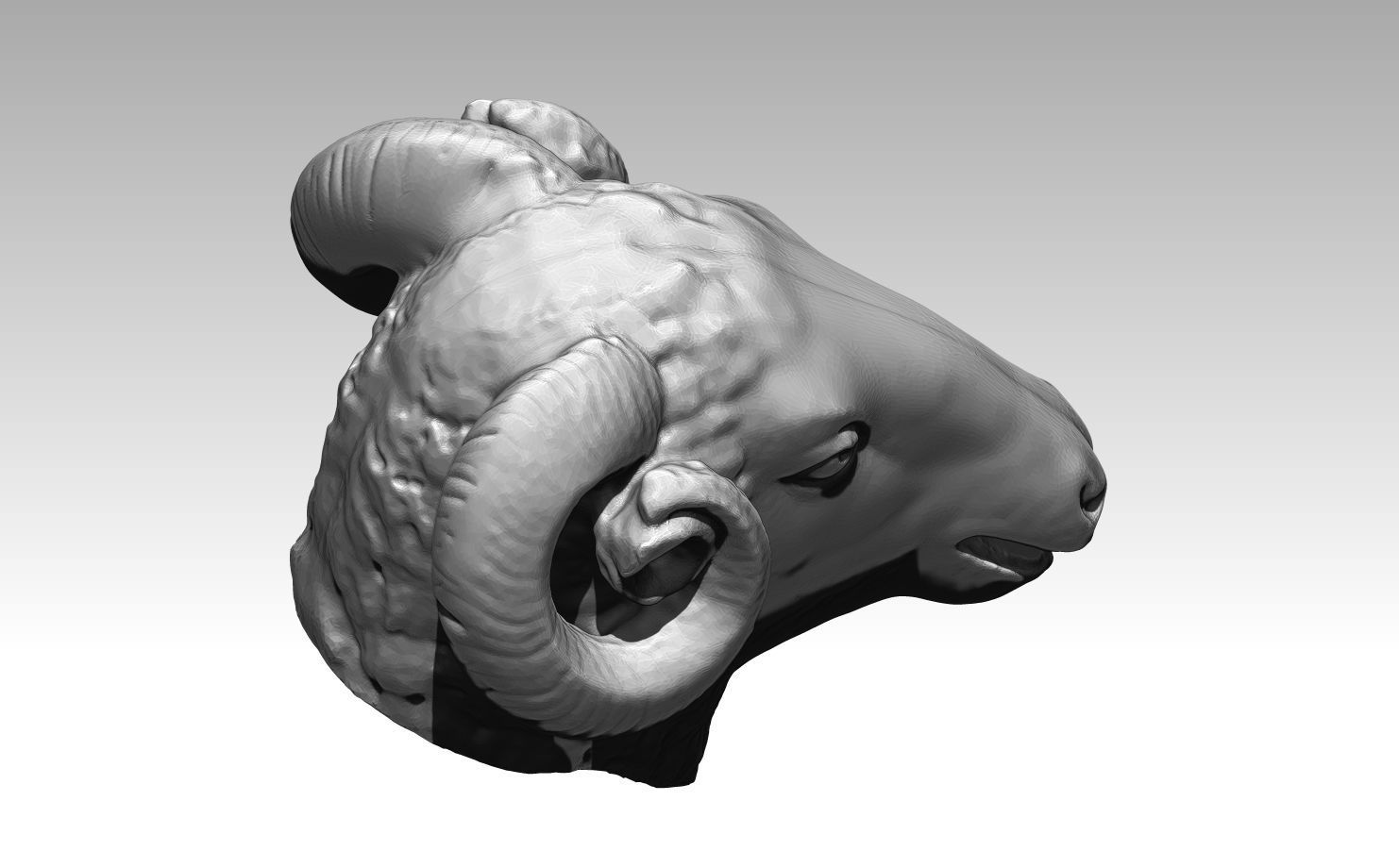 Ram head high detailed 3D model 3D printable | CGTrader