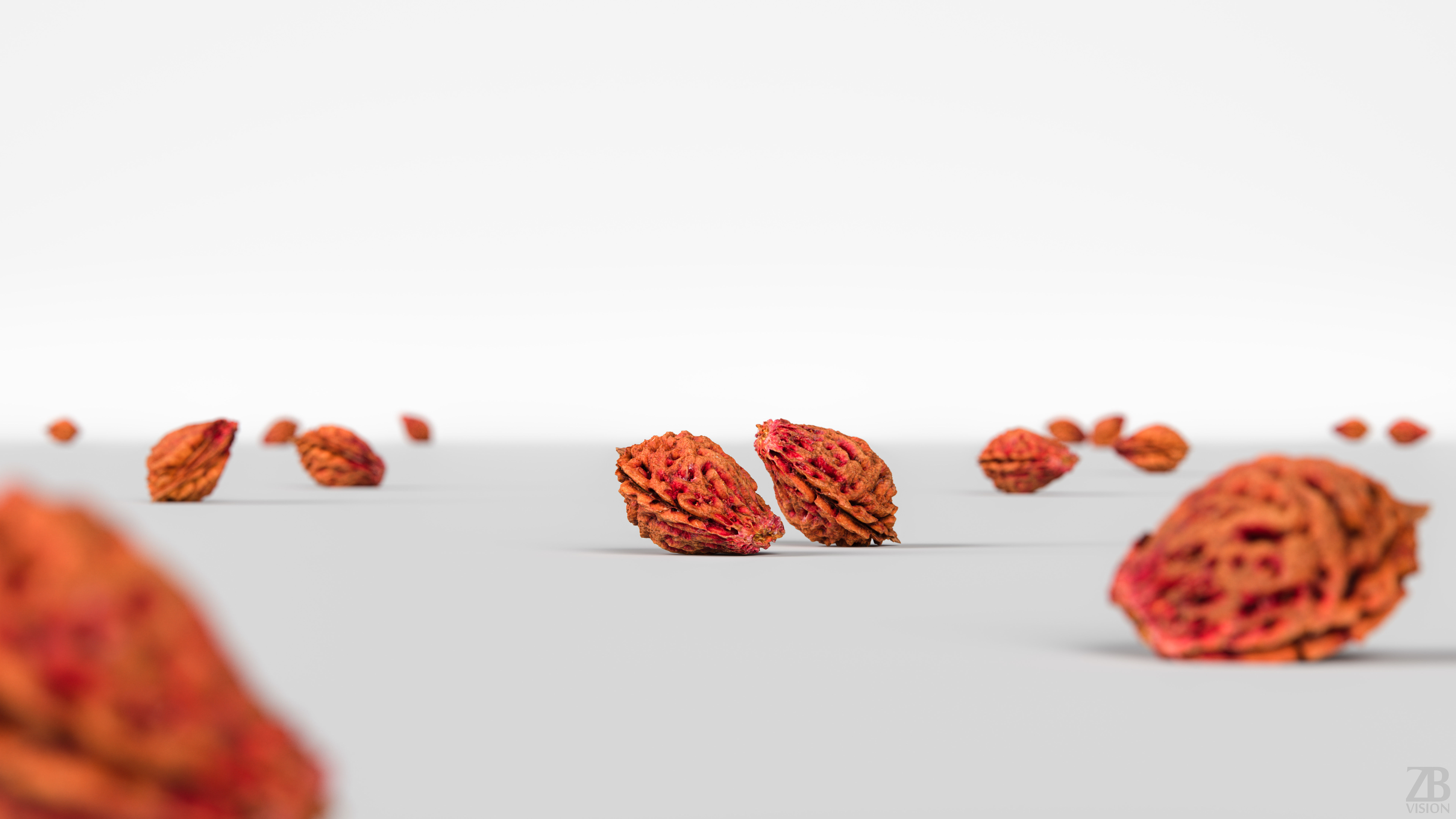 Peach Pit 3D model | CGTrader