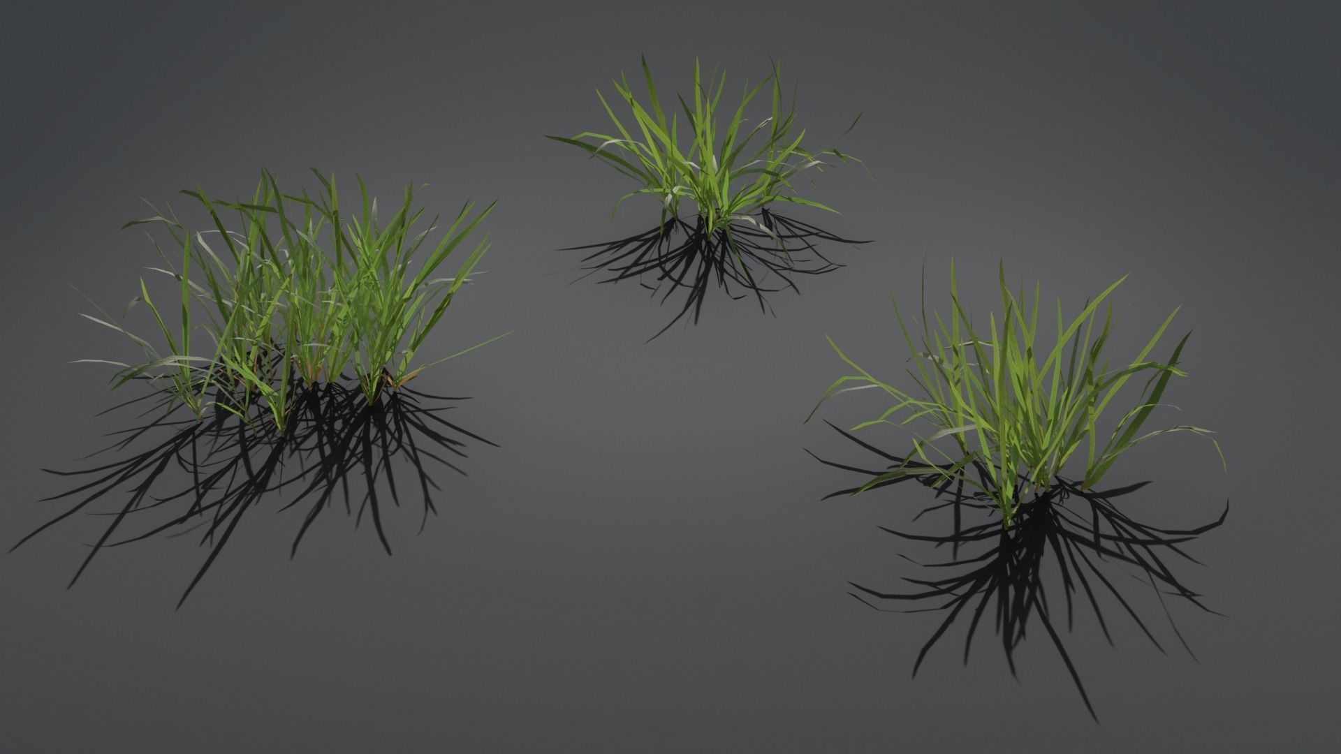 Grass Kit VFX Grace 3D model | CGTrader