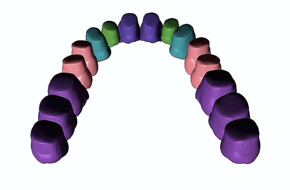 3D model Realistic Teeth no Roots for 3d print design VR / AR / low ...