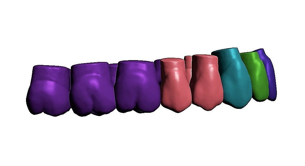 3D model Realistic Teeth no Roots for 3d print design VR / AR / low ...
