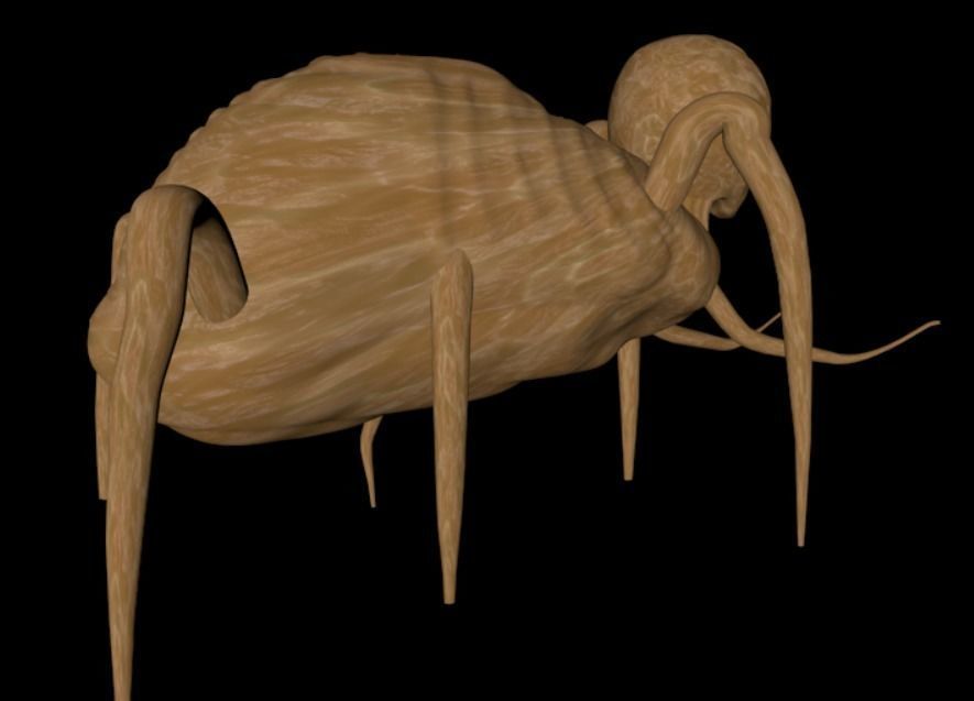 Flesh Insect Monster free 3D model rigged | CGTrader