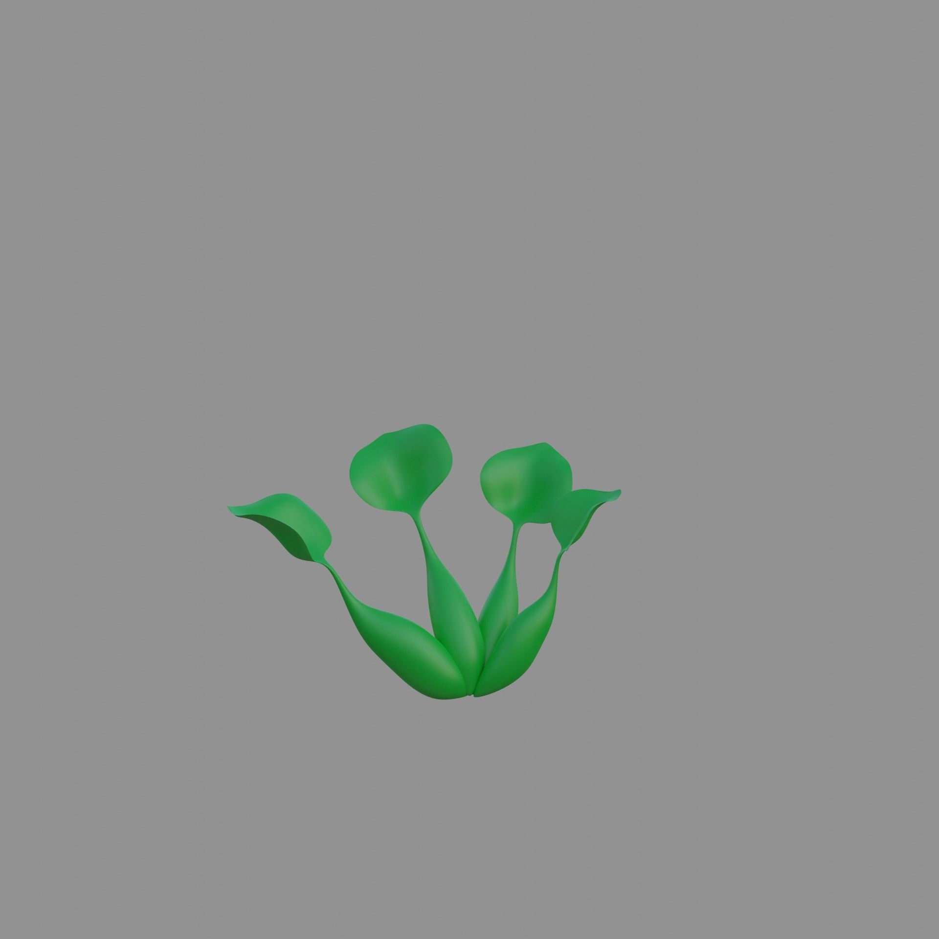 Photoreal Water Hyacinth free 3D model | CGTrader
