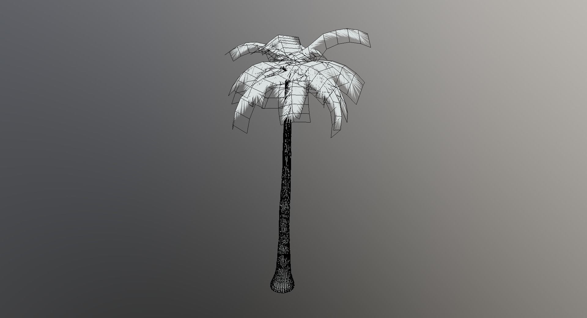 Tropical Palm free 3D model | CGTrader